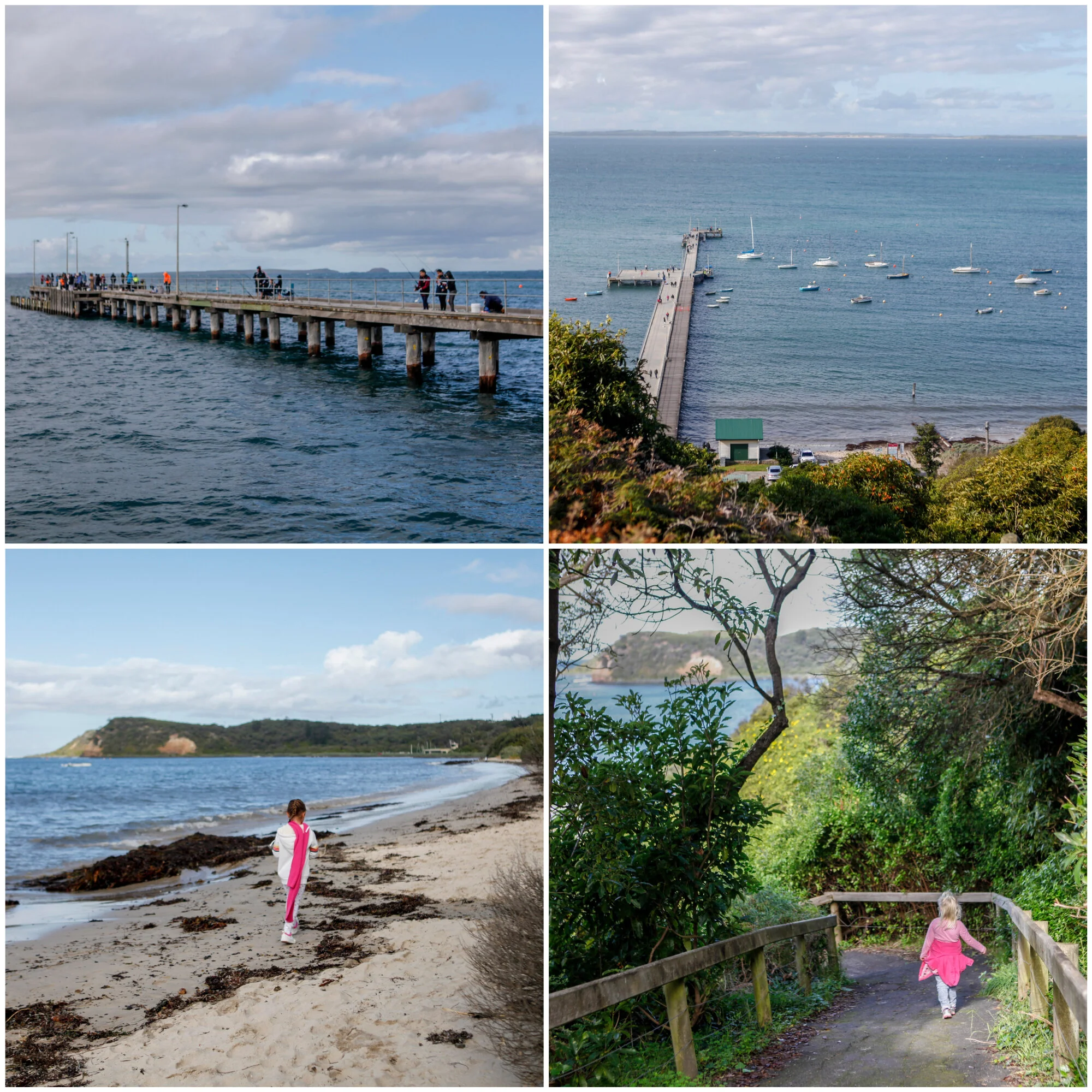 flinders pier, flinders — mamma knows south