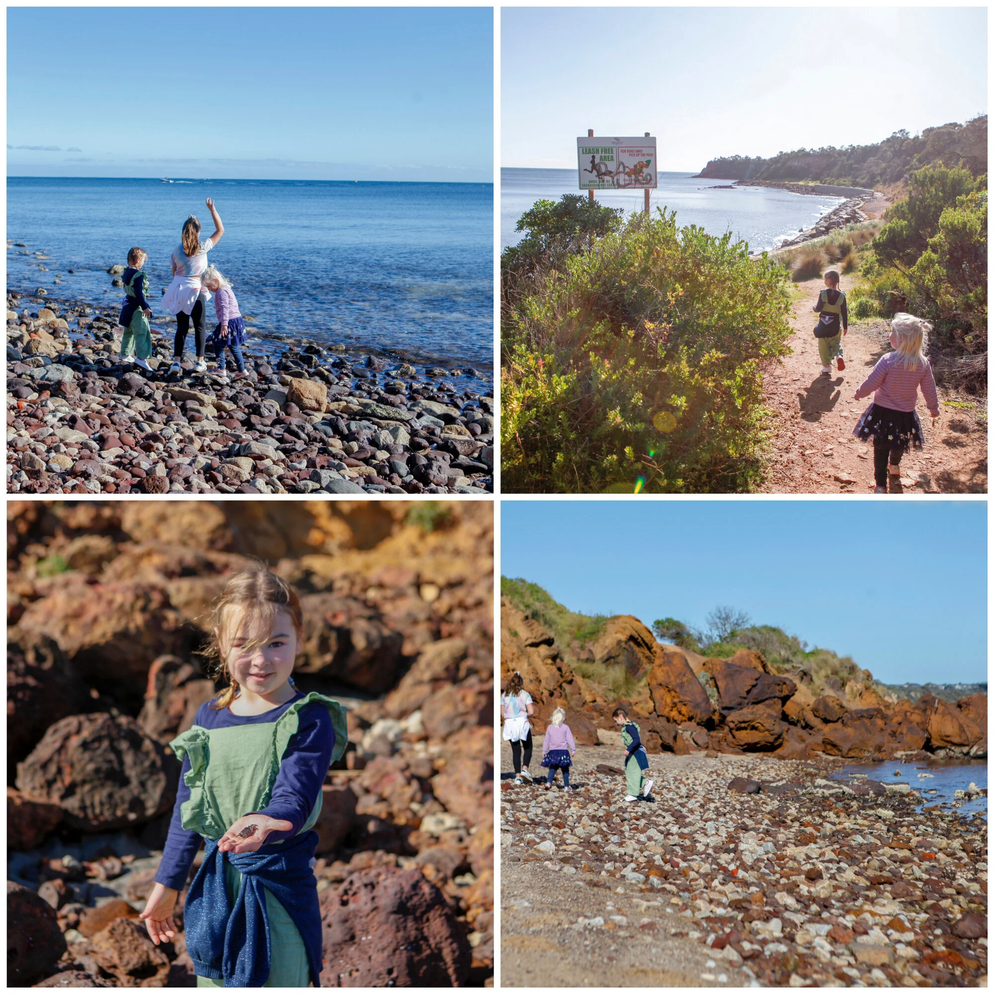 fossil bay, mornington — mamma knows south