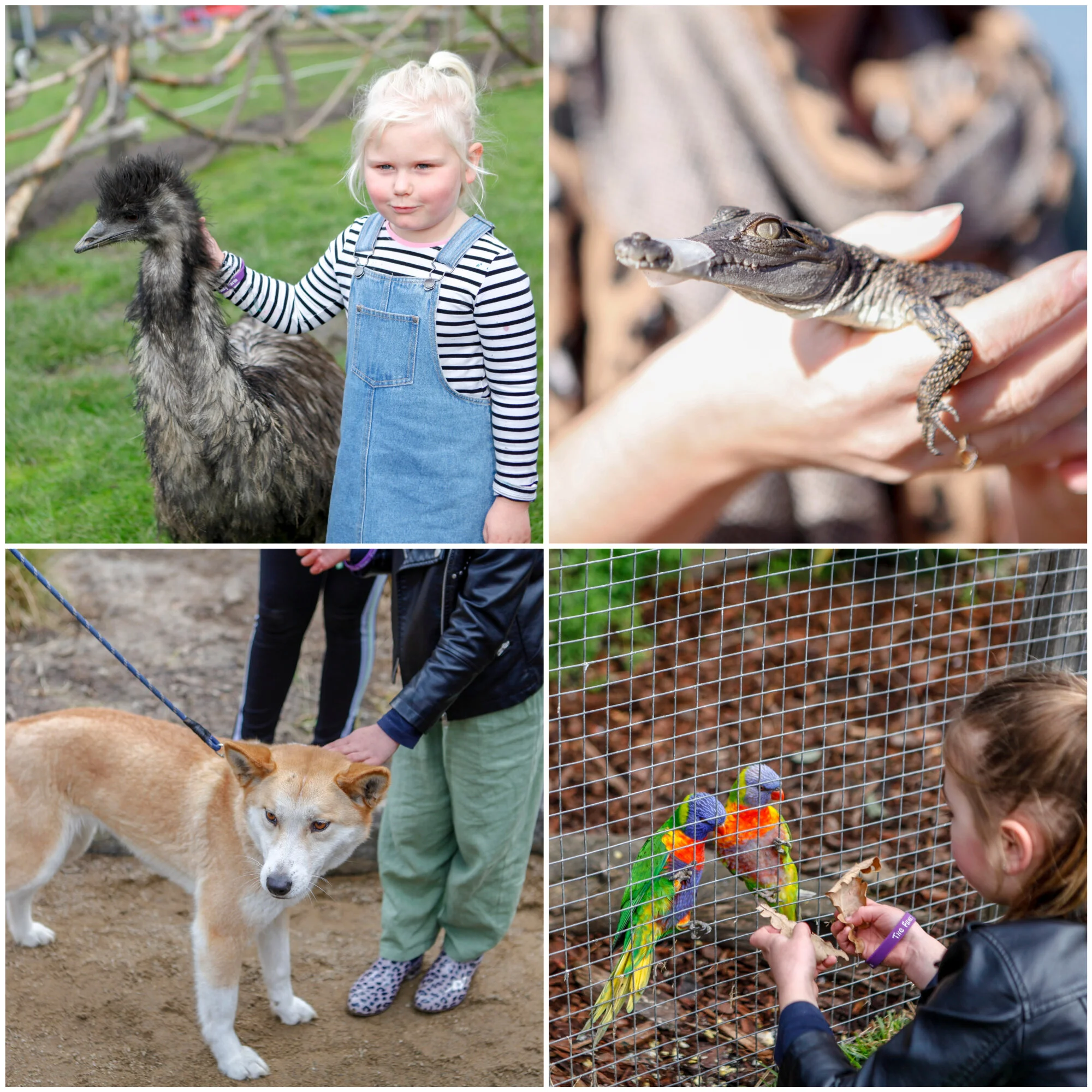 The Funky Farm, Hastings — mamma knows south