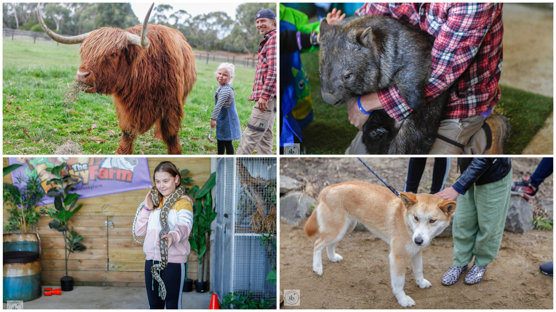 mamma loves the peninsula — mamma knows south