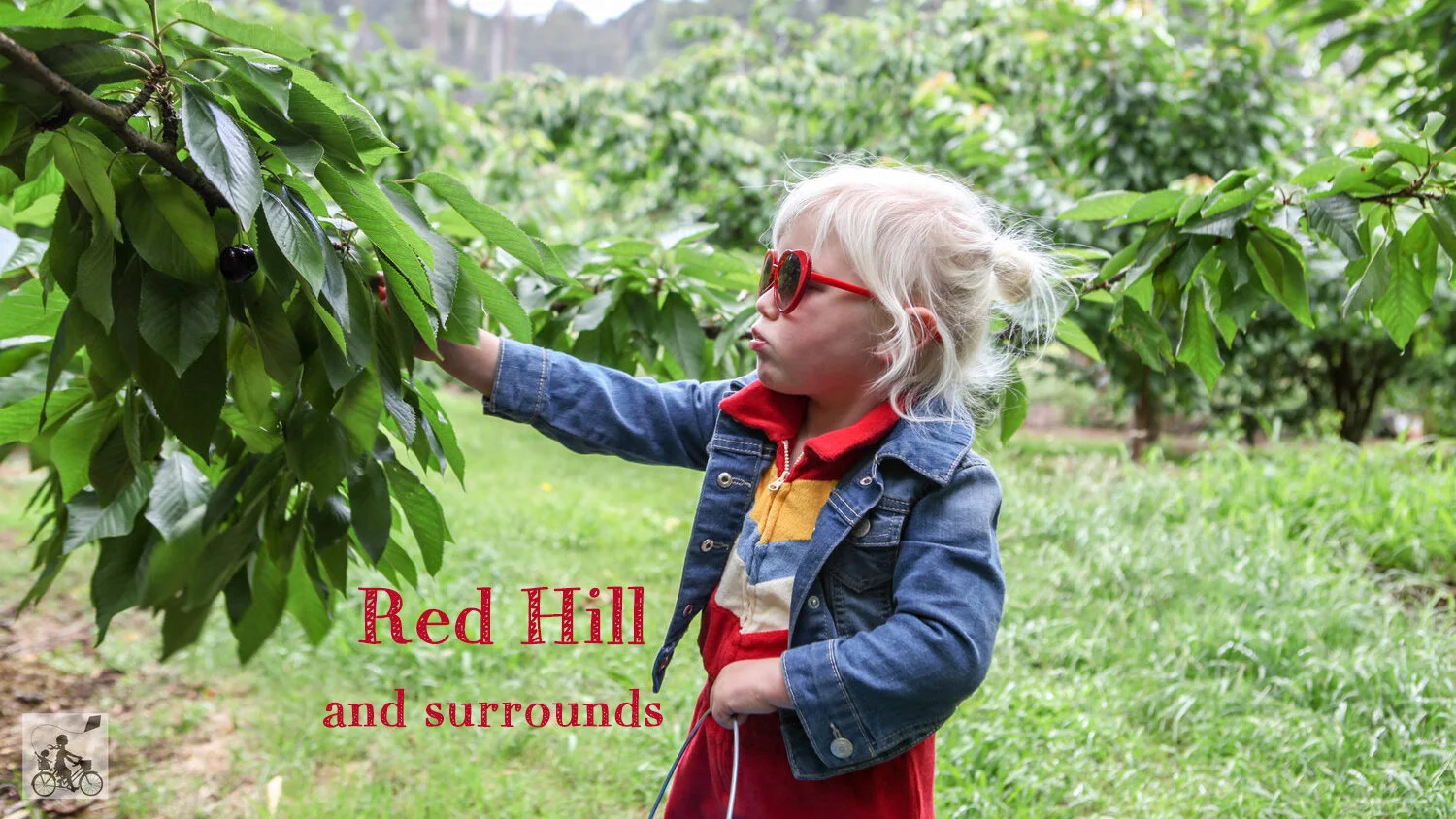 mamma loves red hill and surrounds — mamma knows south