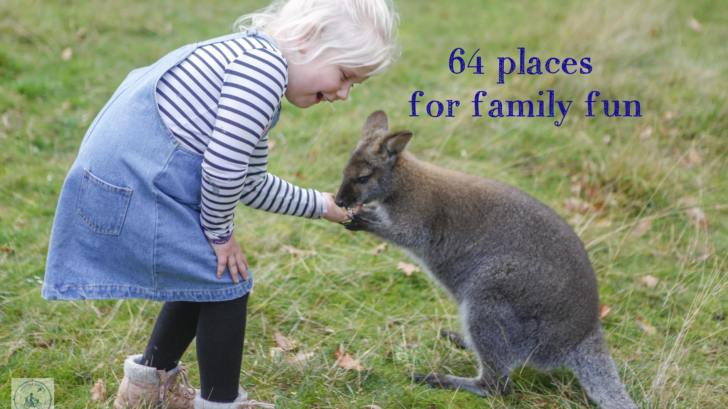 Top 64 places for Family Fun in the South East — mamma knows south