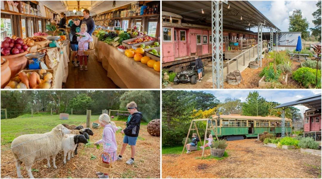 The Best Family Friendly Places to eat in Melbourne's South — mamma ...