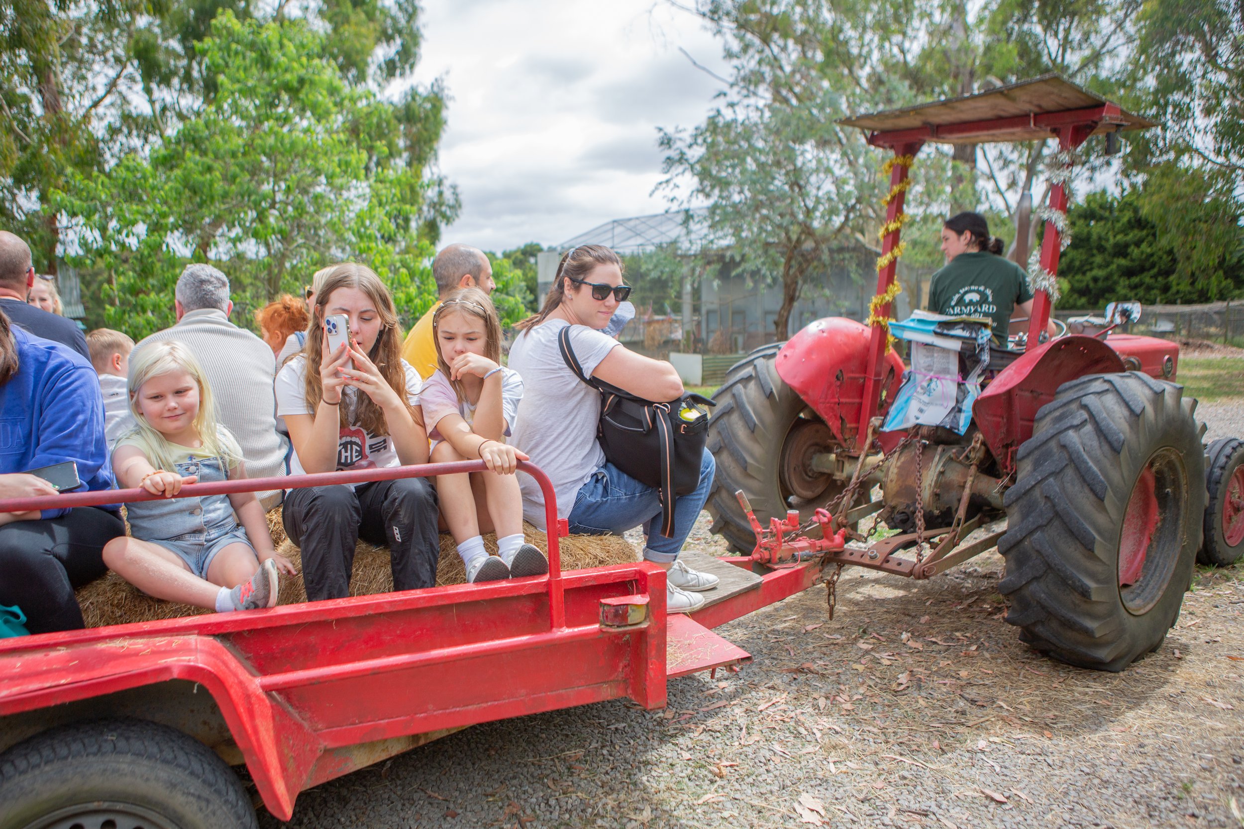 rain hayne and shine animal farm, balnarring — mamma knows south