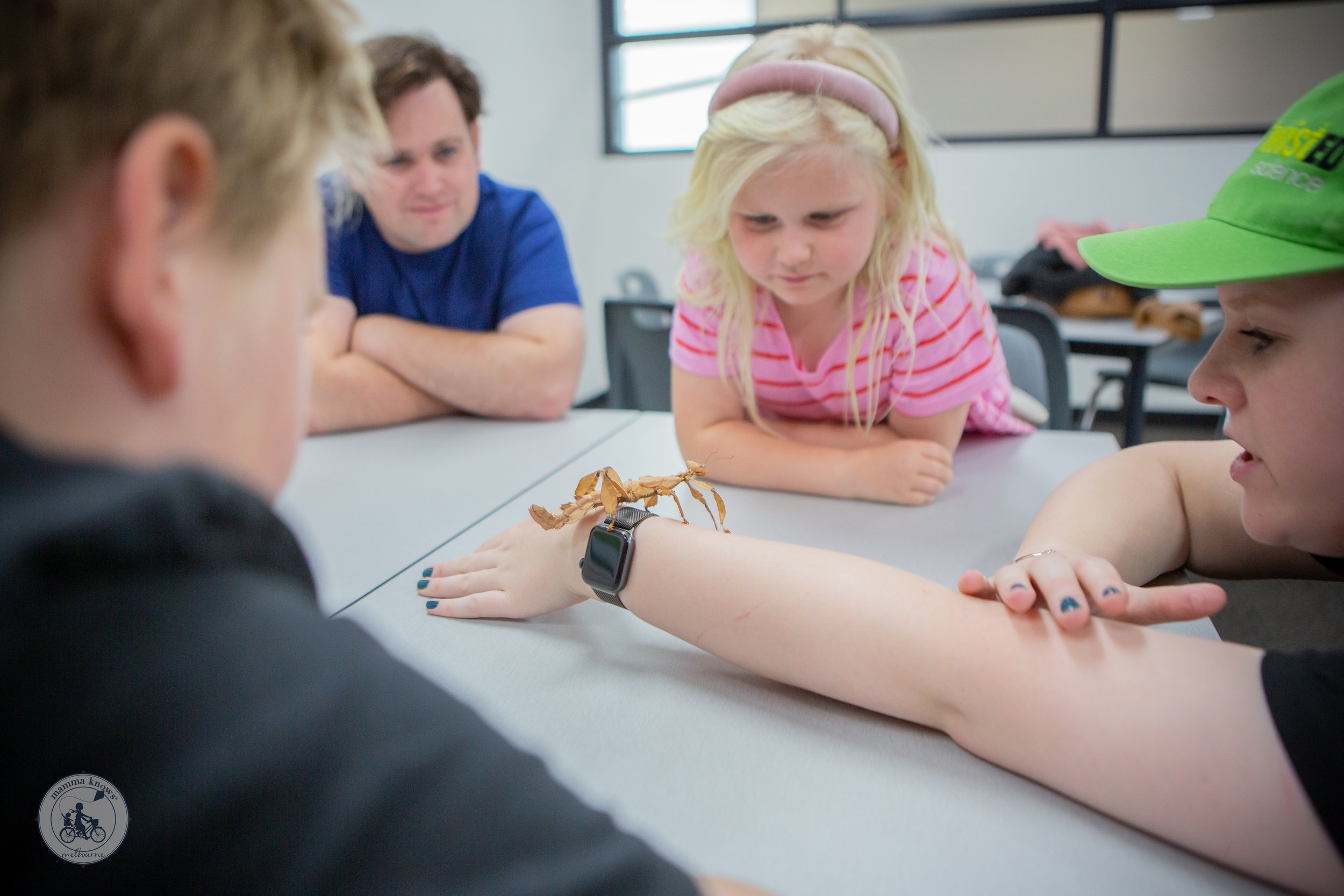 Twisted Science, Moorabbin — mamma knows south