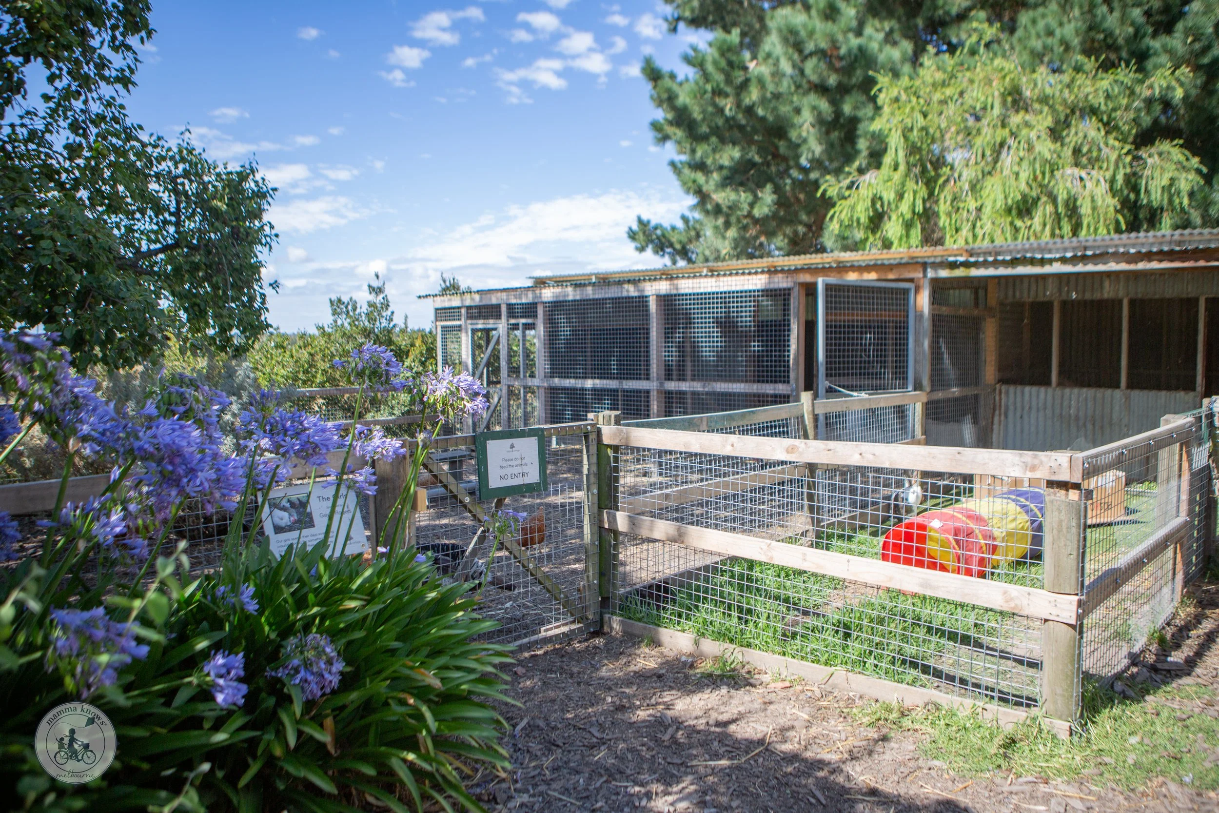 Sages Cottage Farm and Cafe, Baxter — mamma knows south