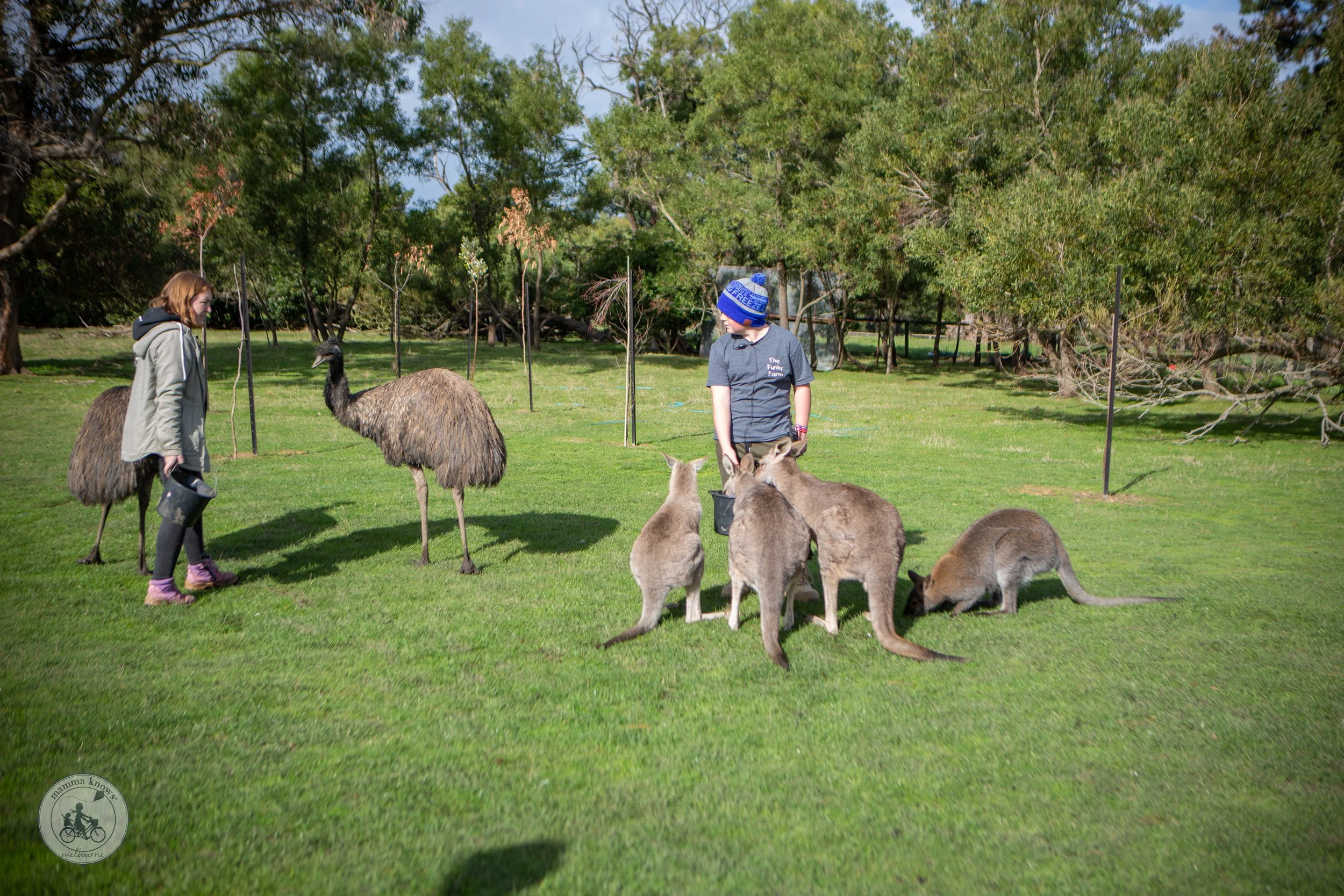 The Funky Farm, Hastings — mamma knows south