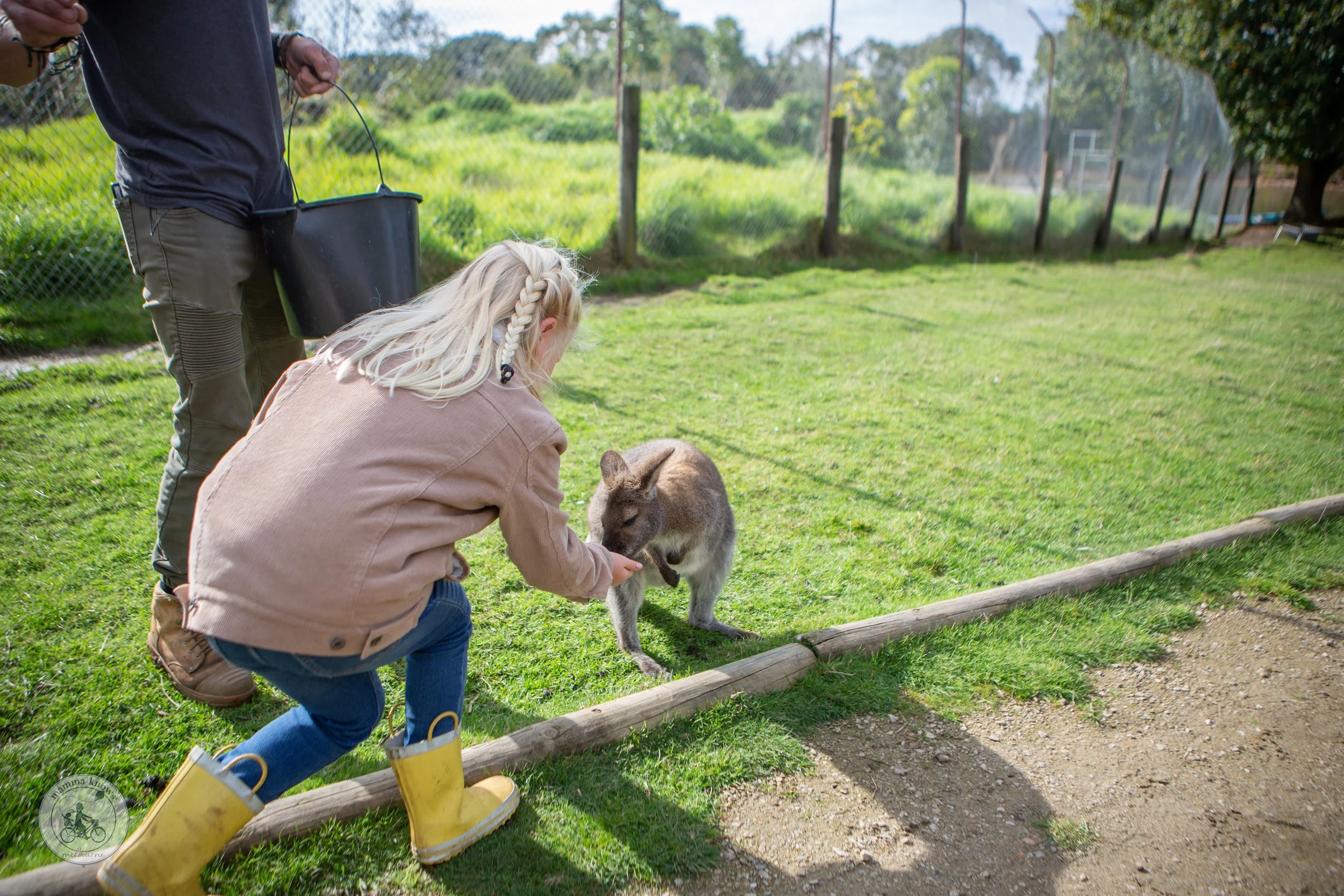 The Funky Farm, Hastings — mamma knows south