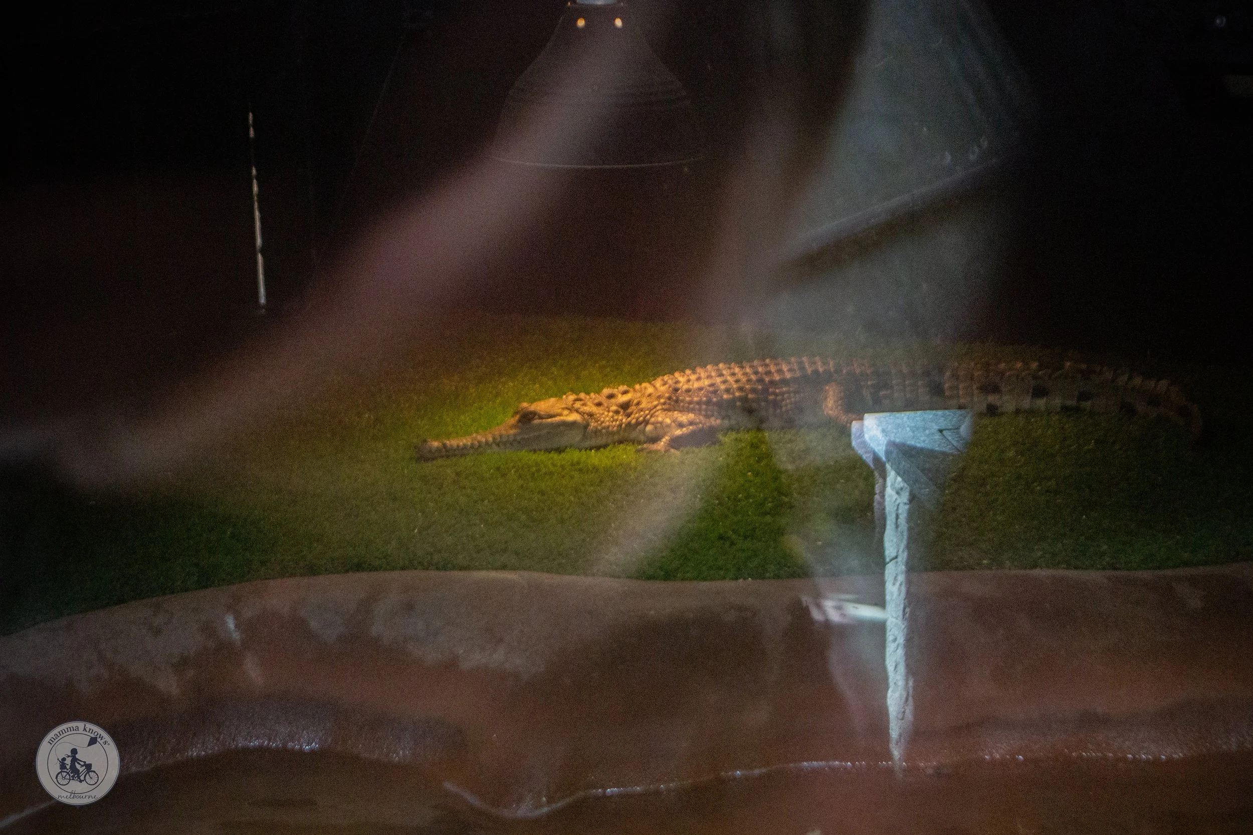 The Funky Farm, Hastings — mamma knows south