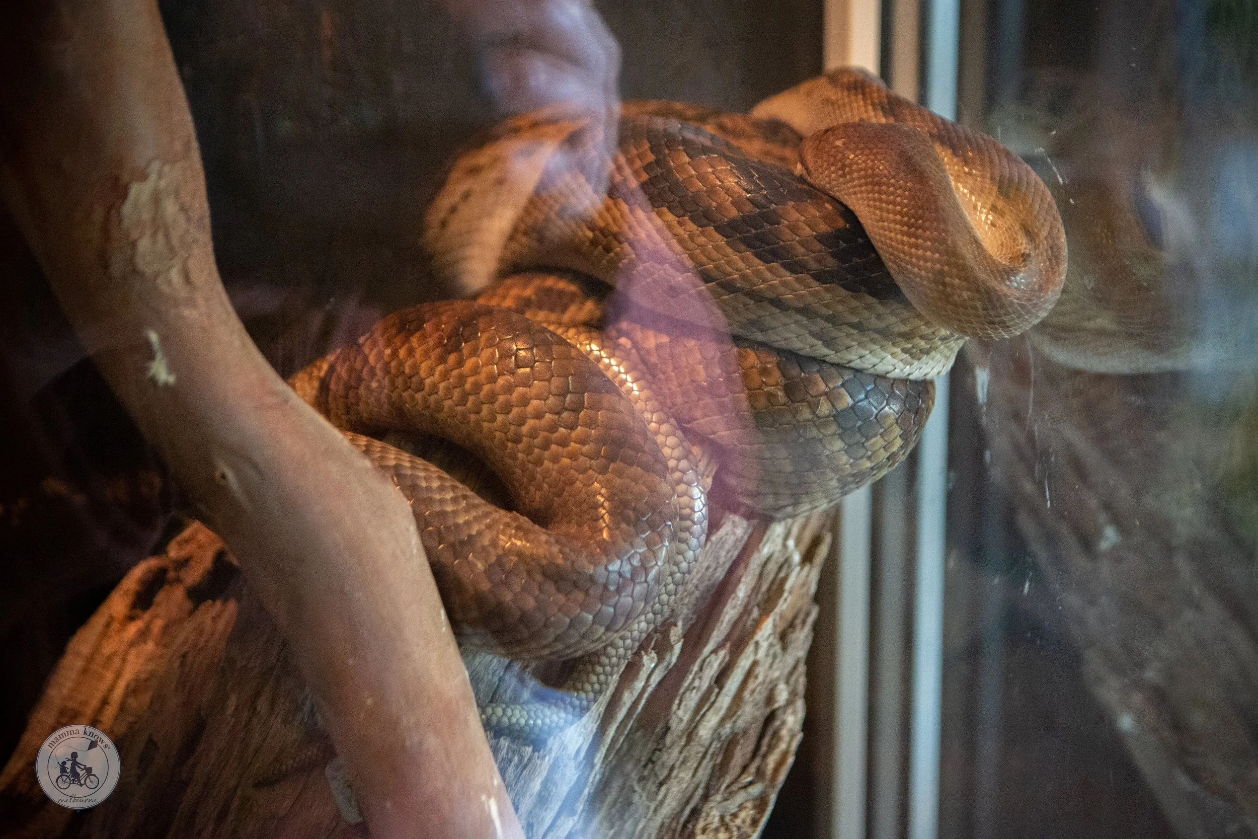 The Funky Farm, Hastings — mamma knows south