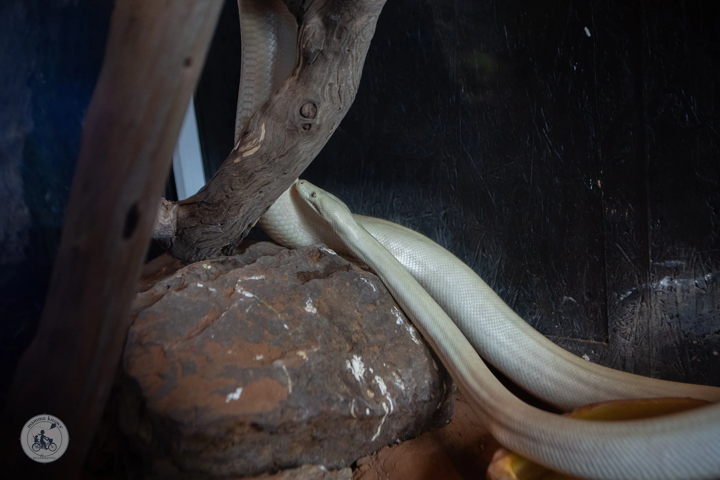 The Funky Farm, Hastings — mamma knows south