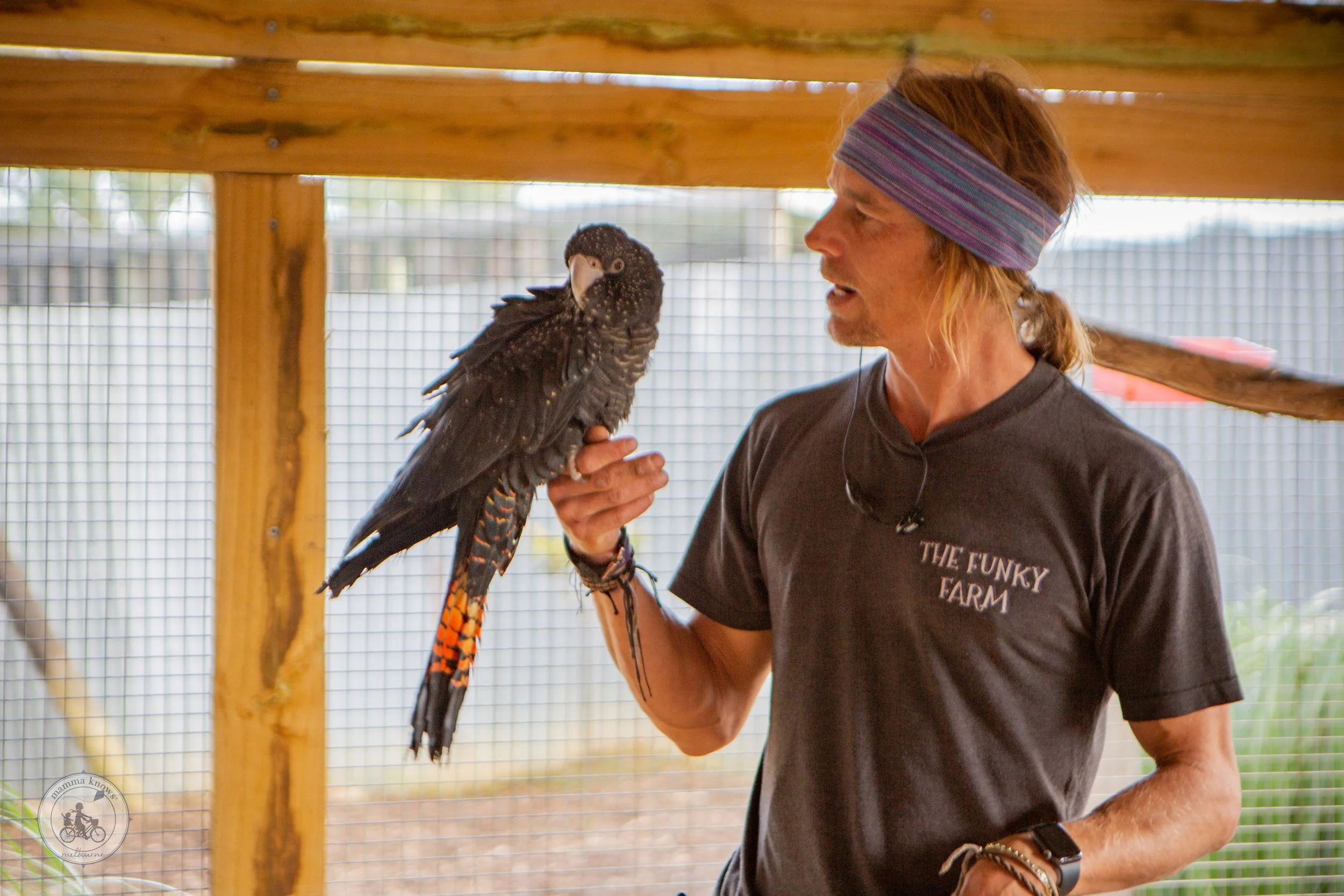 The Funky Farm, Hastings — mamma knows south