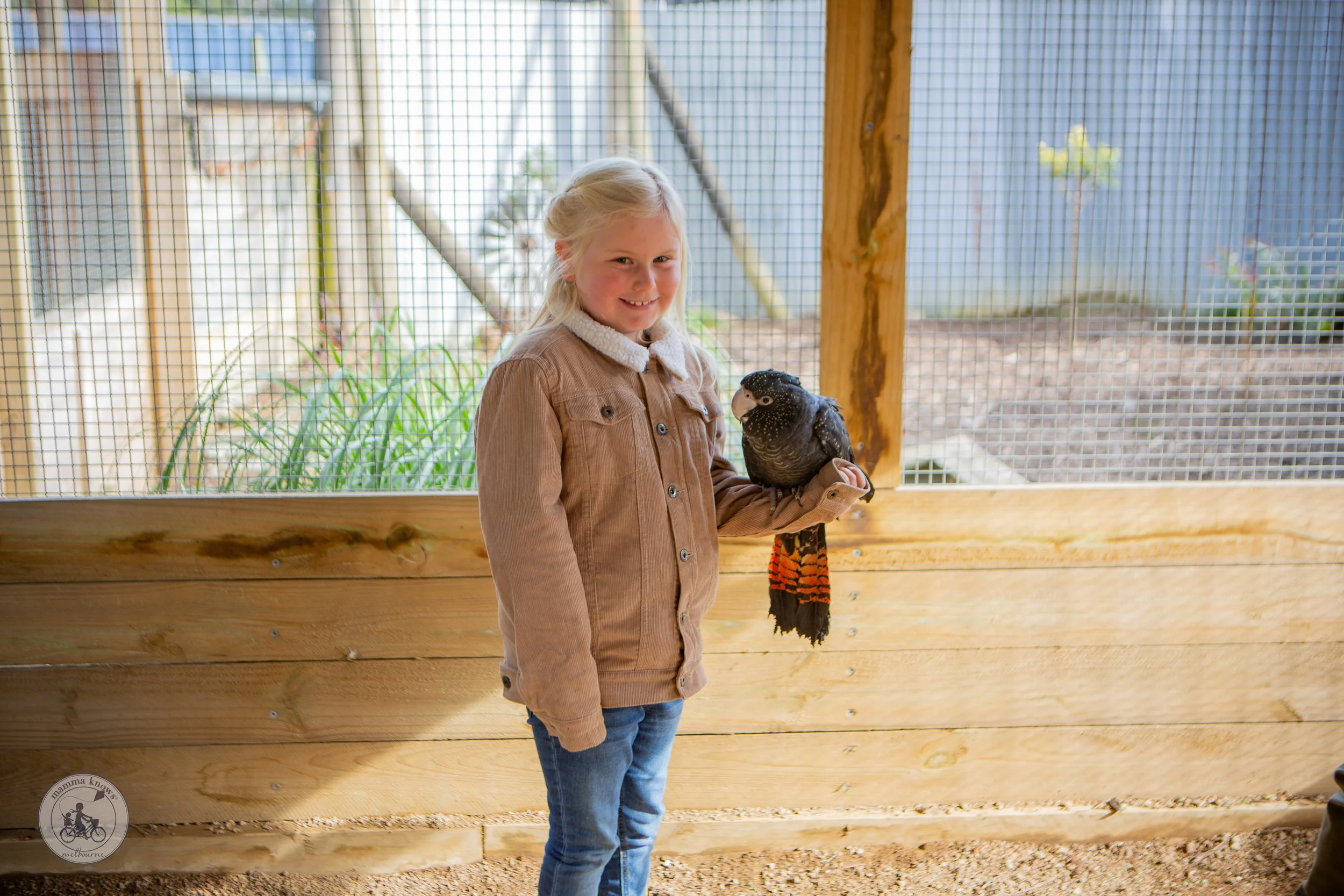 The Funky Farm, Hastings — mamma knows south