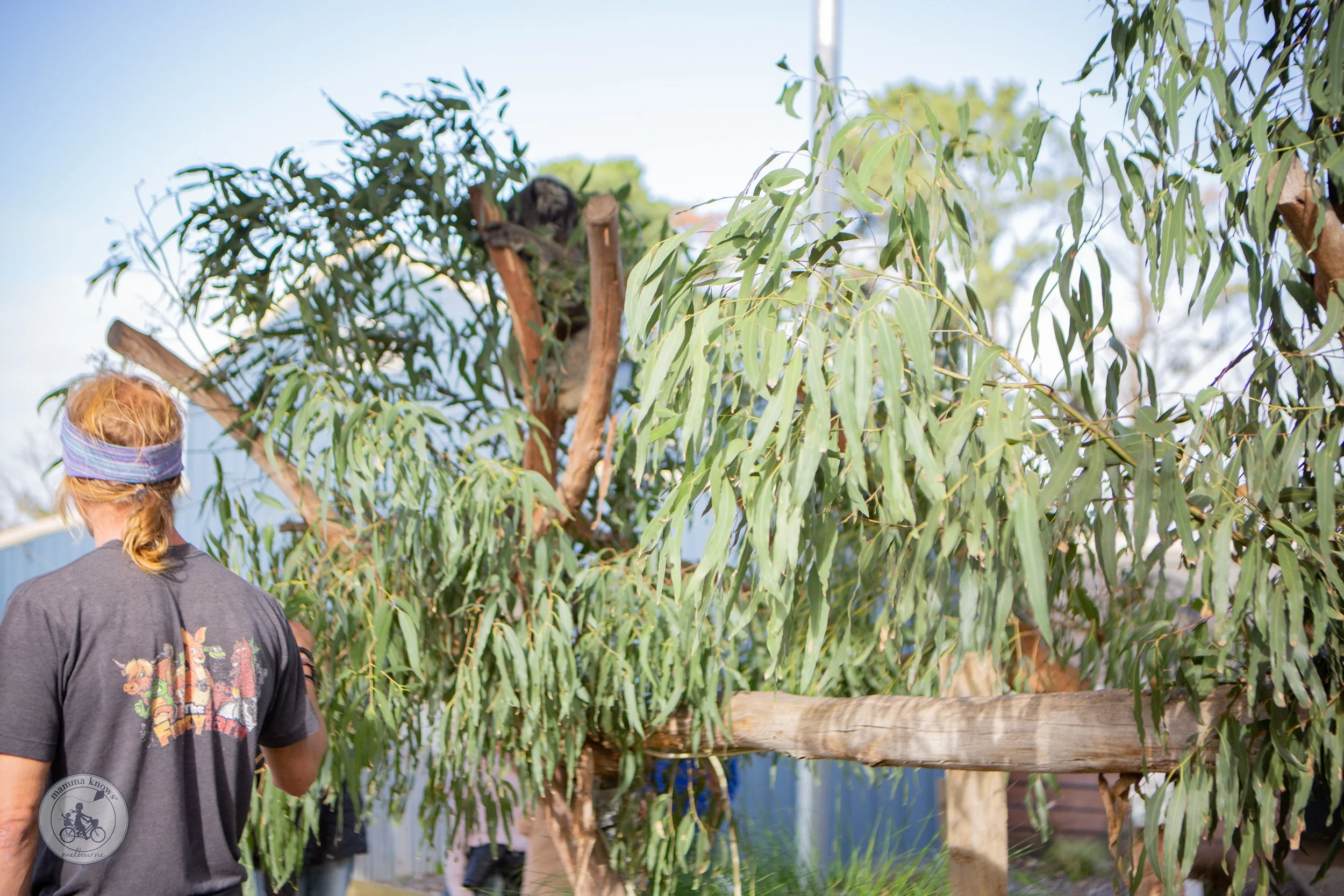 The Funky Farm, Hastings — mamma knows south