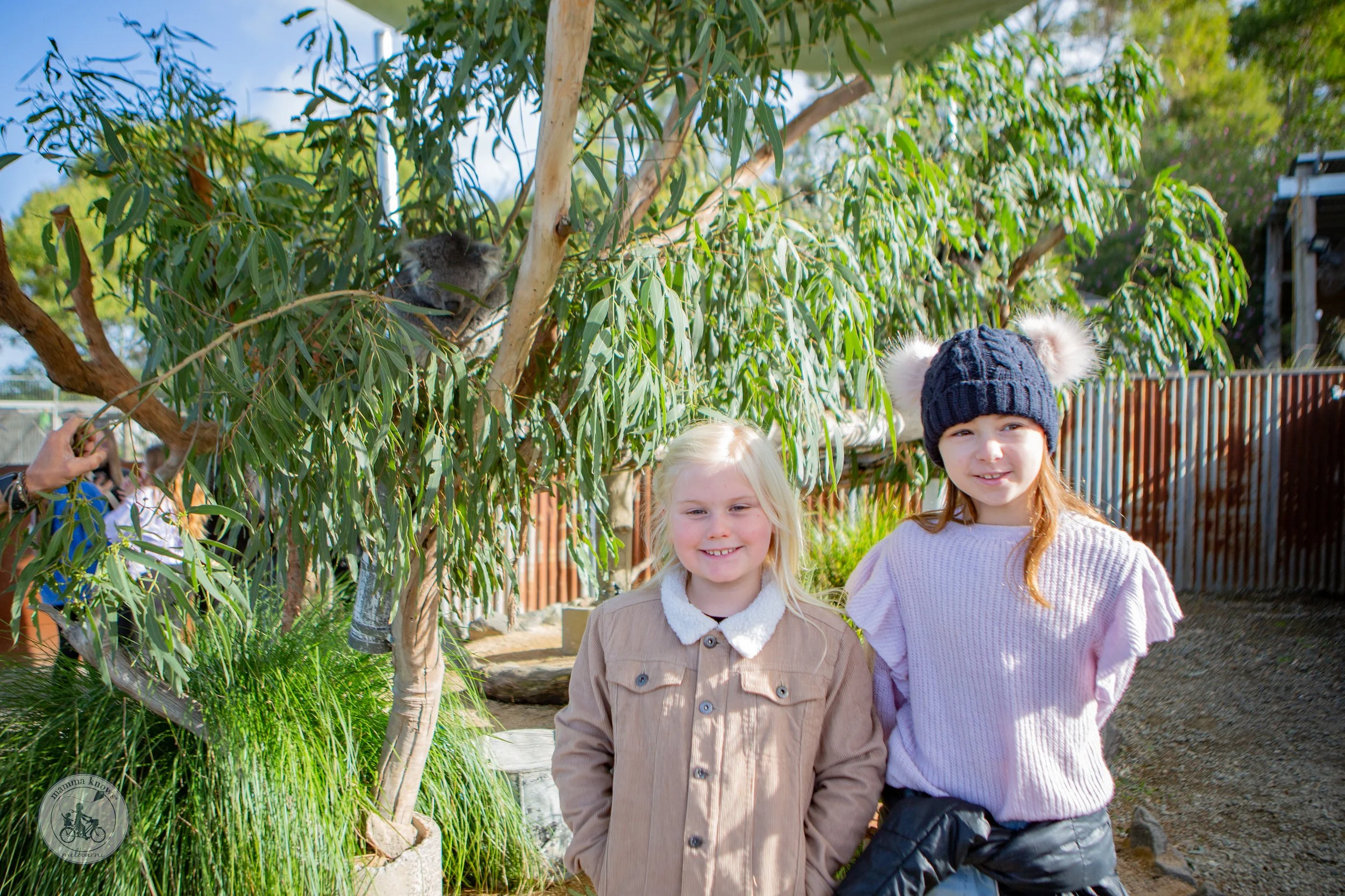 The Funky Farm, Hastings — mamma knows south