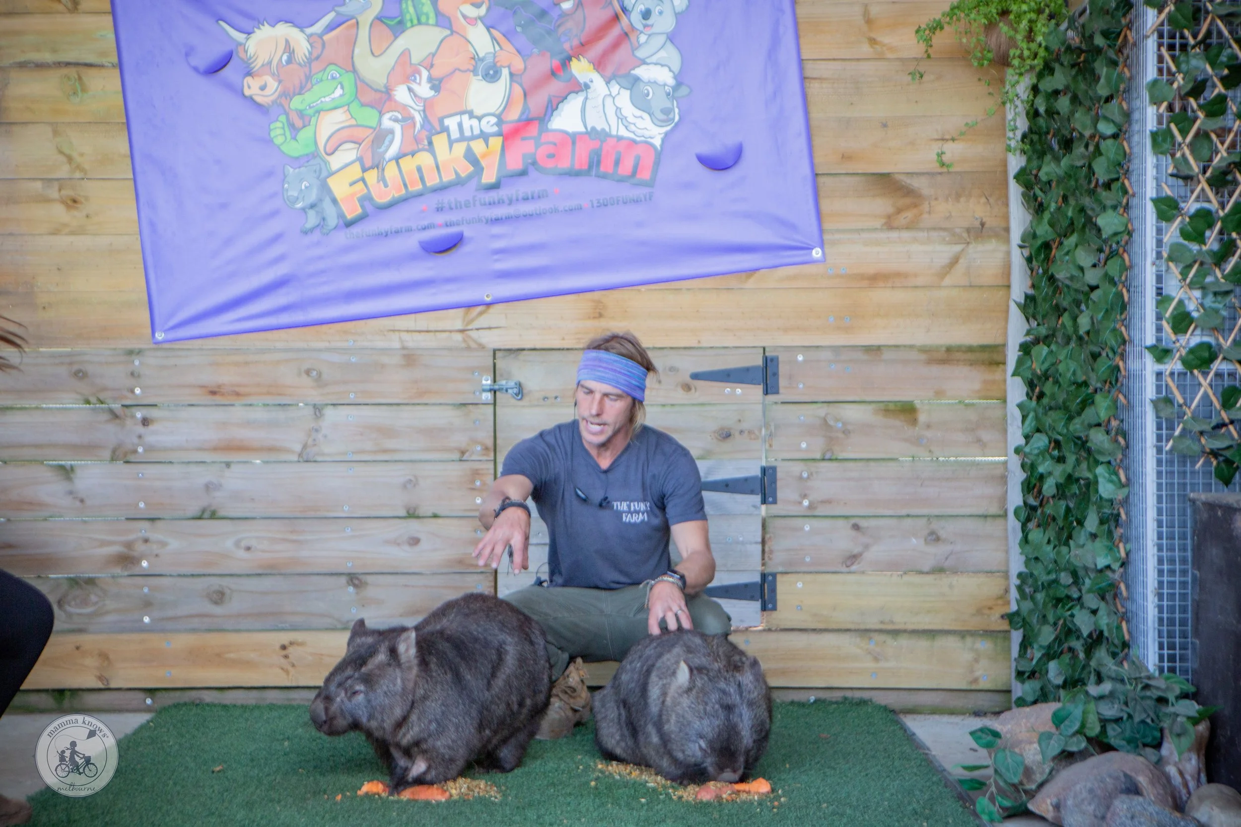 The Funky Farm, Hastings — mamma knows south