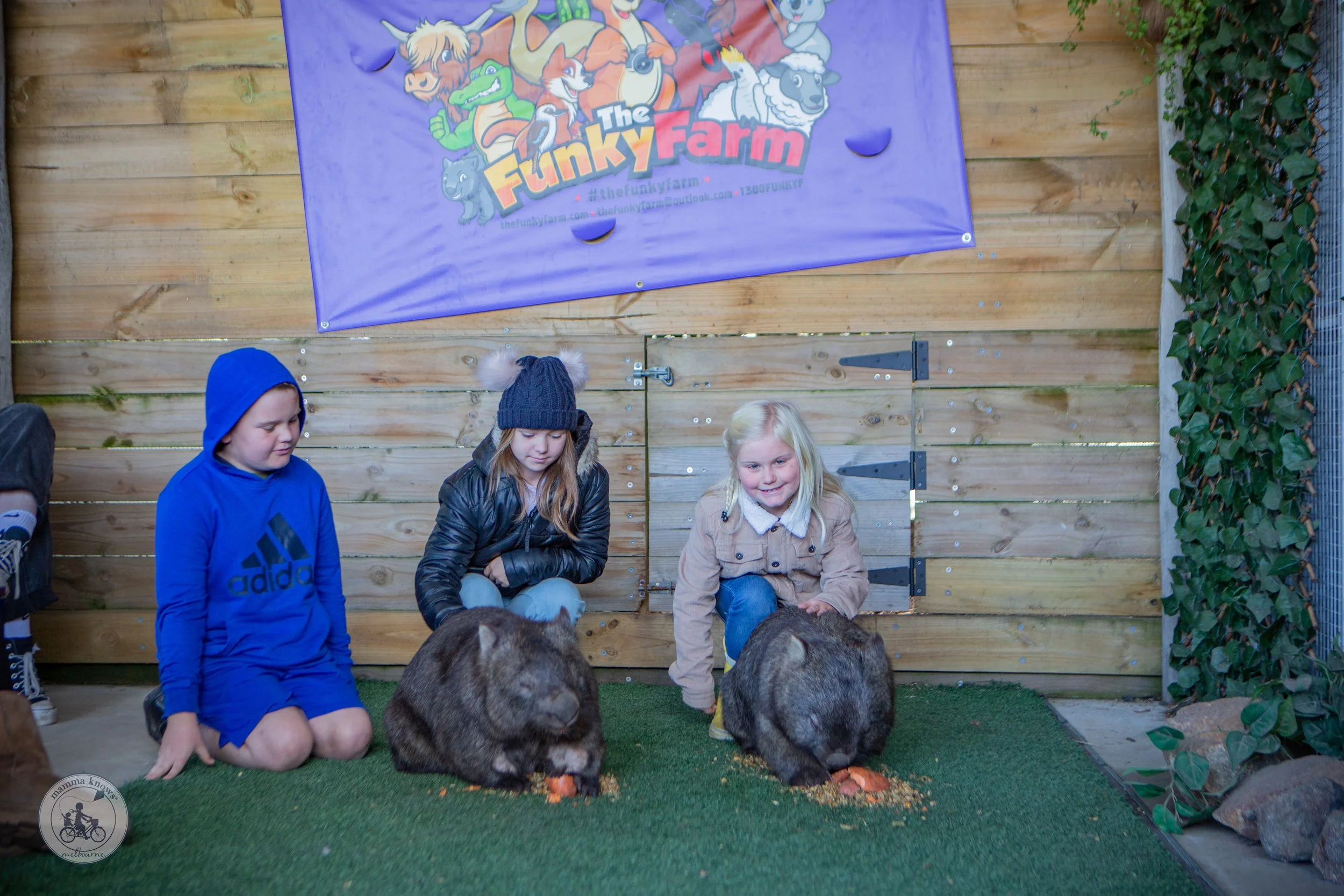 The Latest Local Inspiration for Families in Melbourne's South — mamma ...