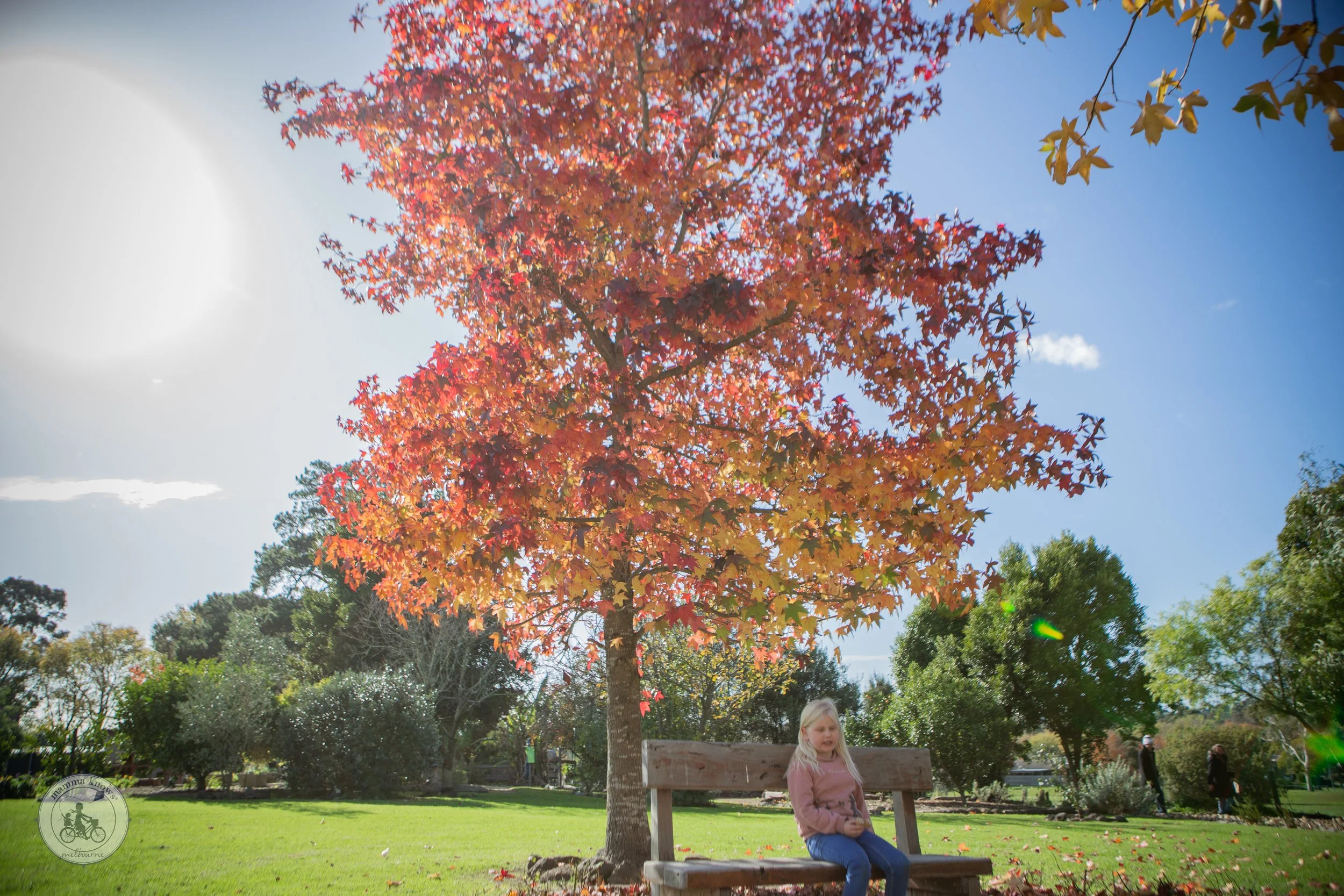 The Old Cheese Factory, Berwick — mamma knows south