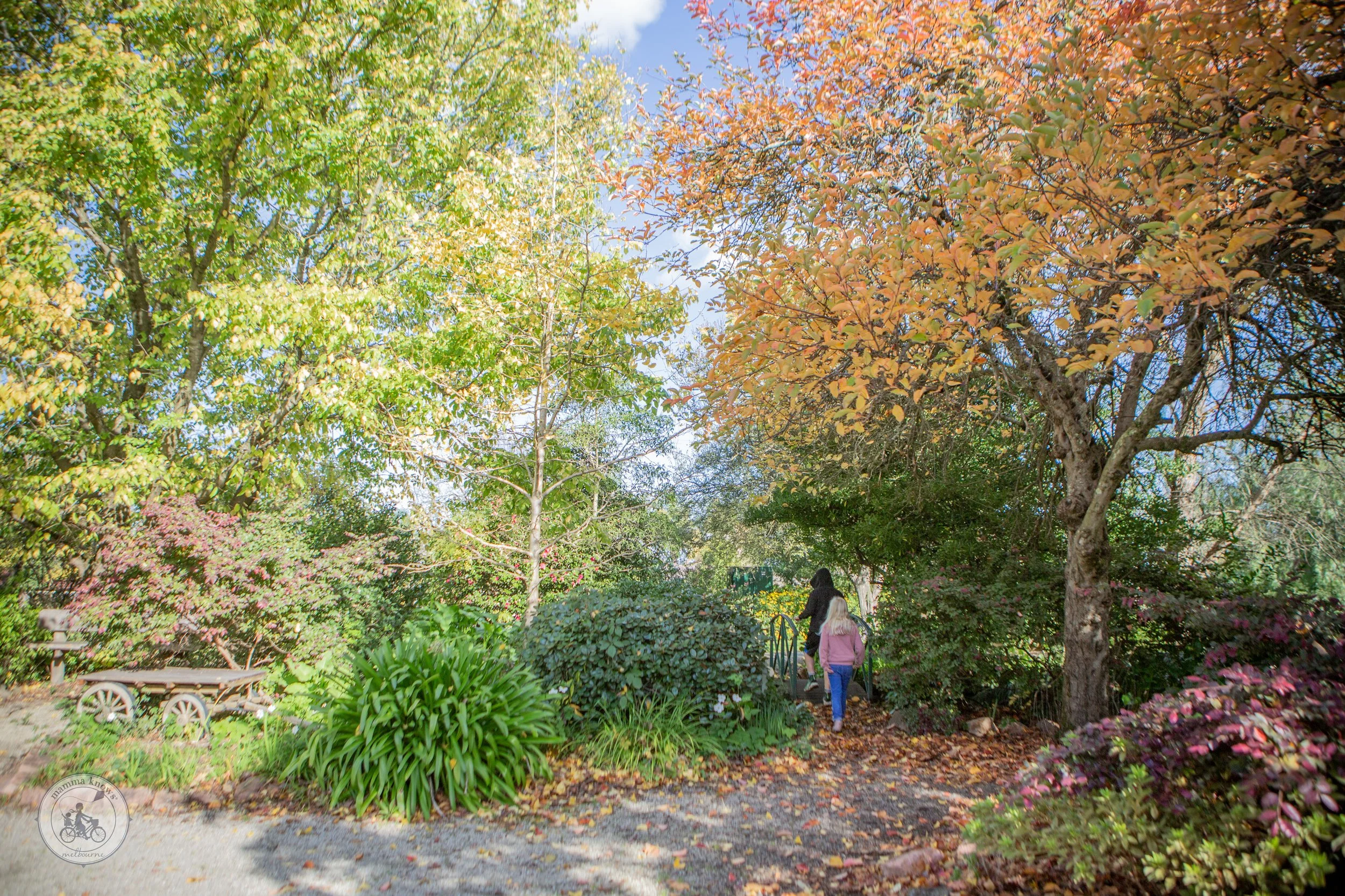 The Old Cheese Factory, Berwick — mamma knows south