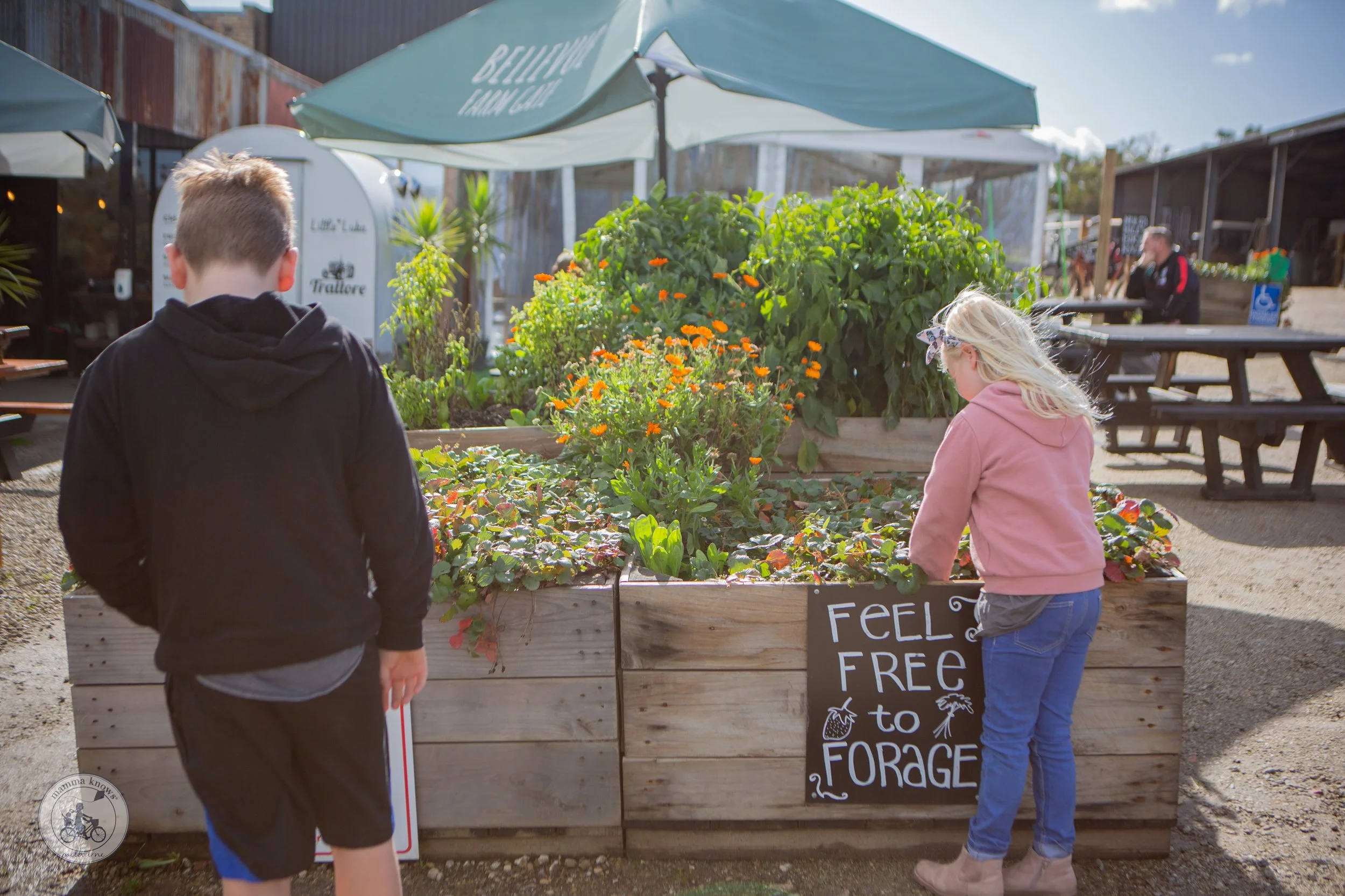 Bellevue Farm Gate, Officer — mamma knows south