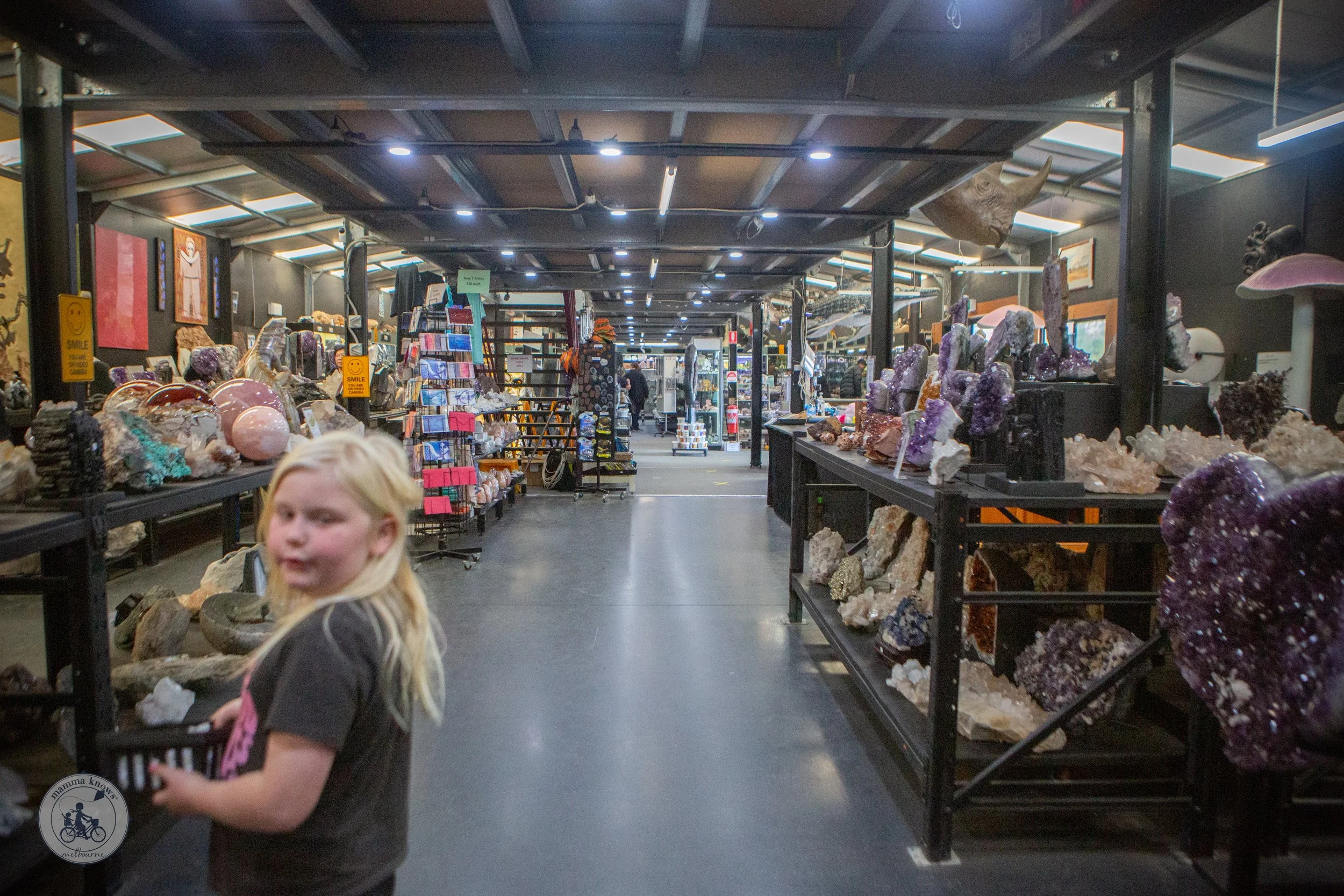 Crystal World and Prehistoric Journey Exhibitions, Devon Meadows ...