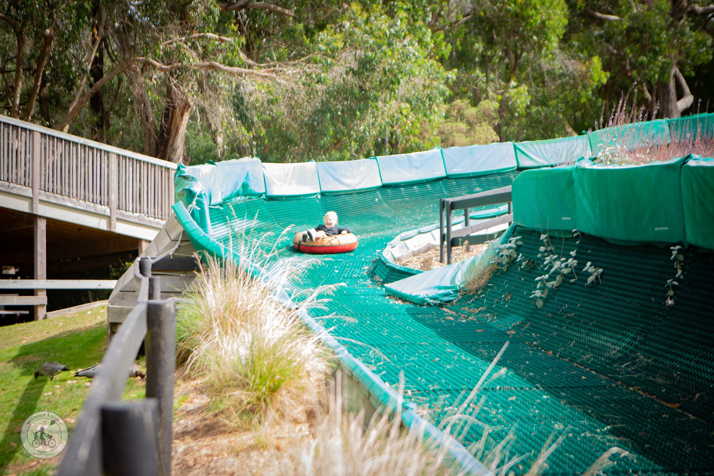 Enchanted Adventure, Arthurs Seat — mamma knows south