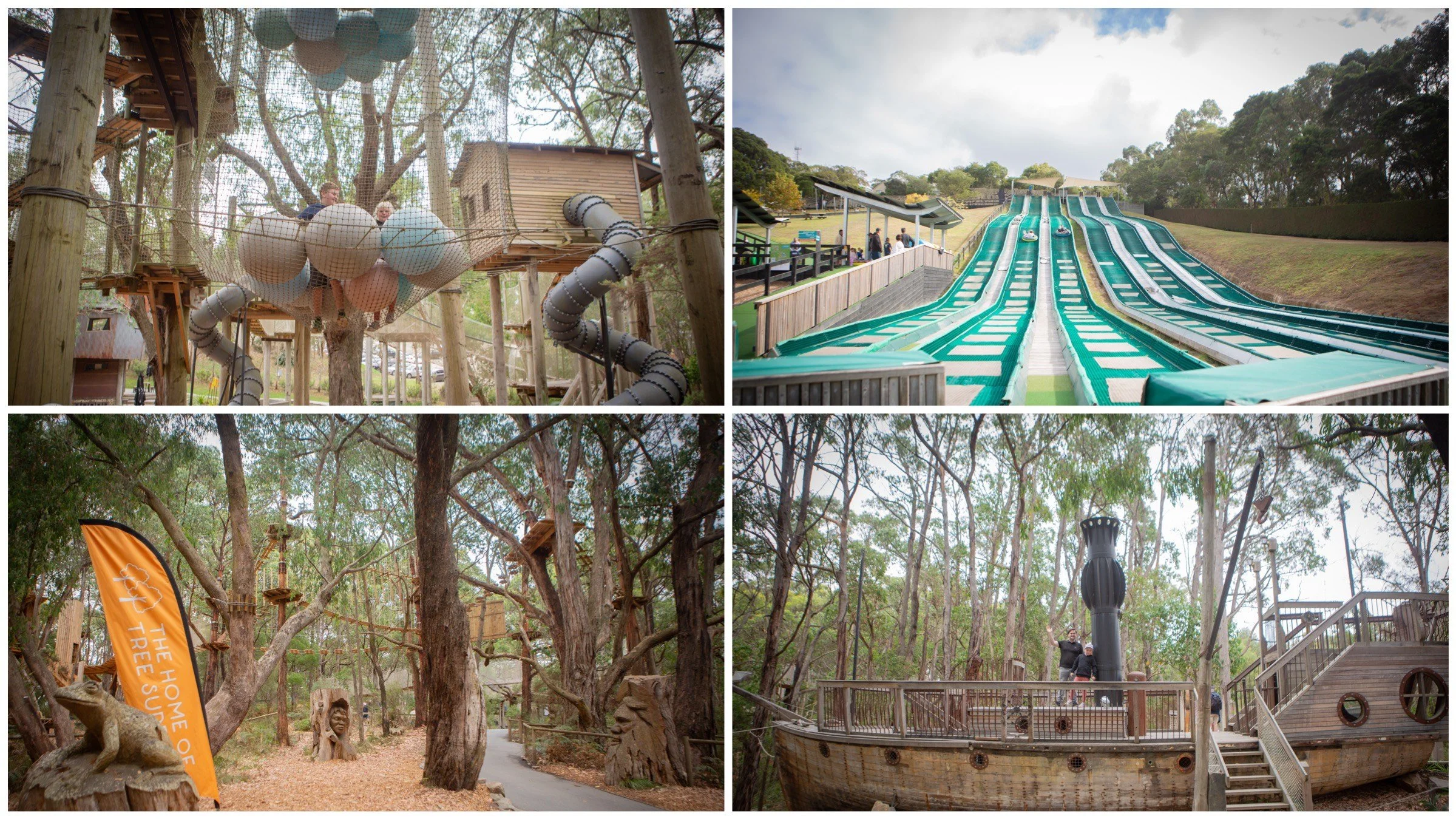 mamma loves red hill and surrounds — mamma knows south