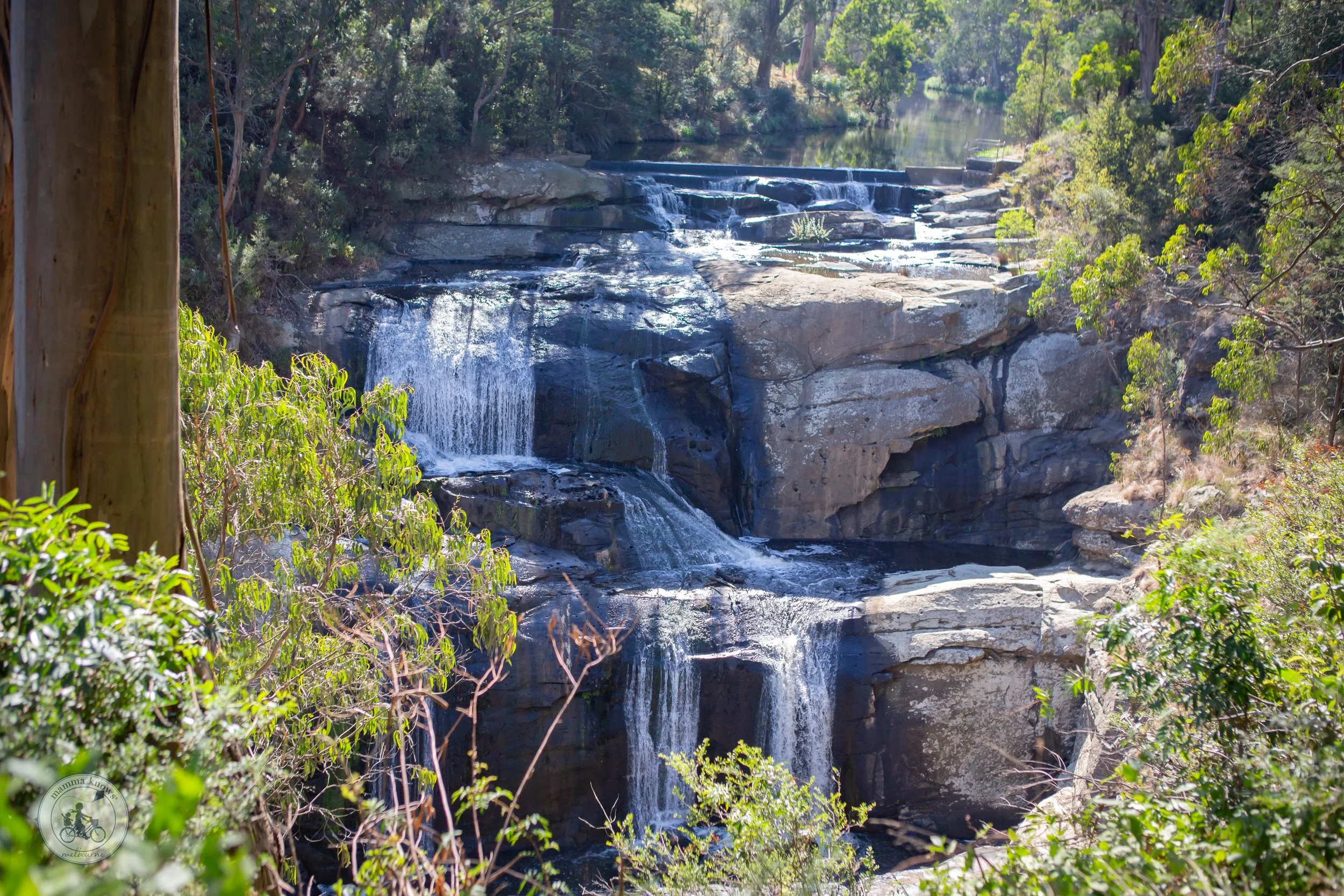 Agnes Falls, Hazel Park — mamma knows south