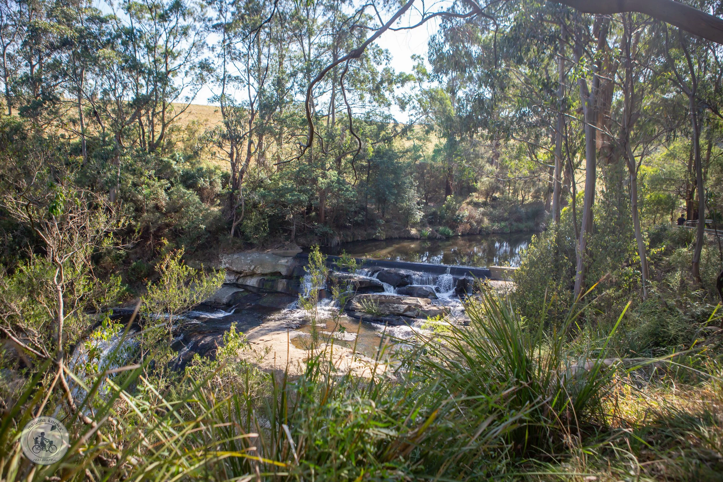 Agnes Falls, Hazel Park — mamma knows south