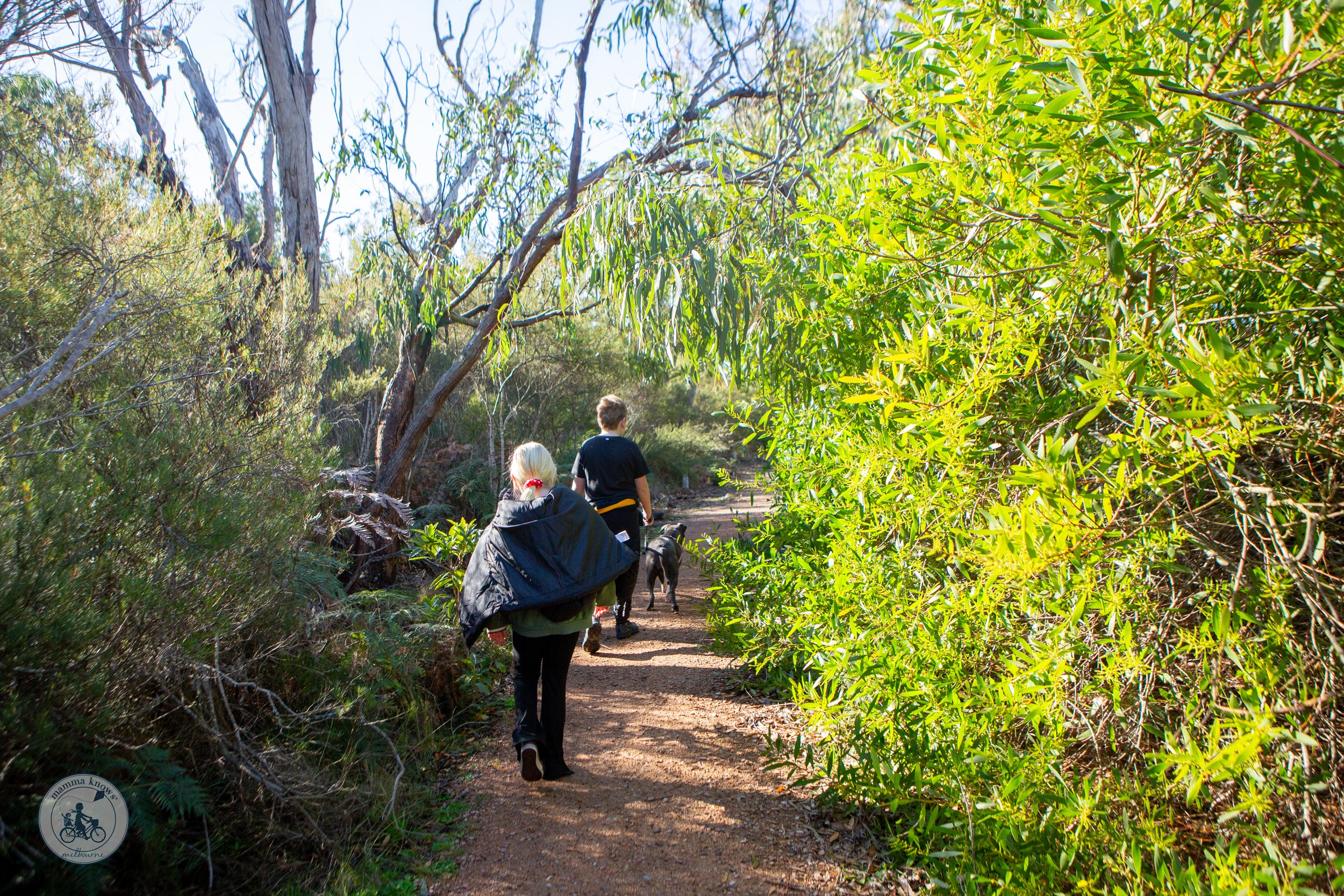 Raymond Island, Gippsland Lakes — mamma knows south