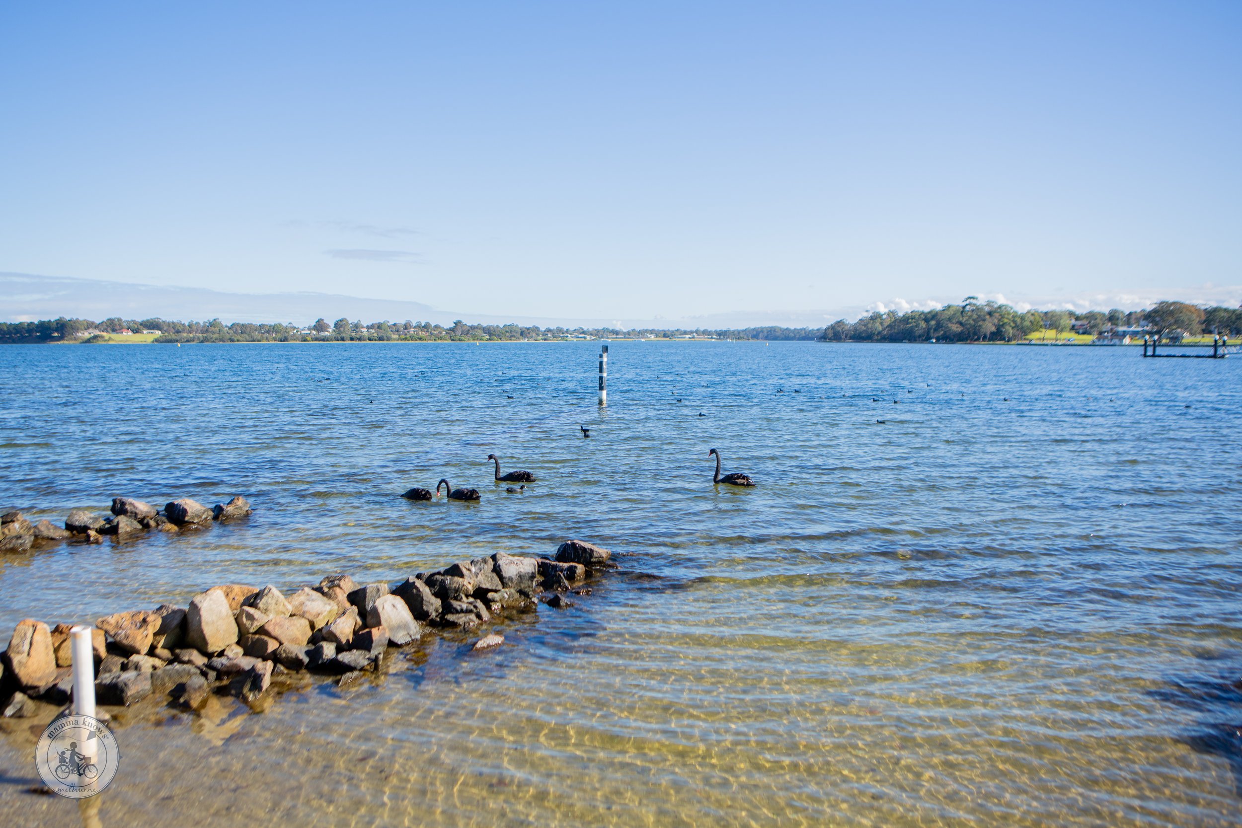 Raymond Island, Gippsland Lakes — mamma knows south