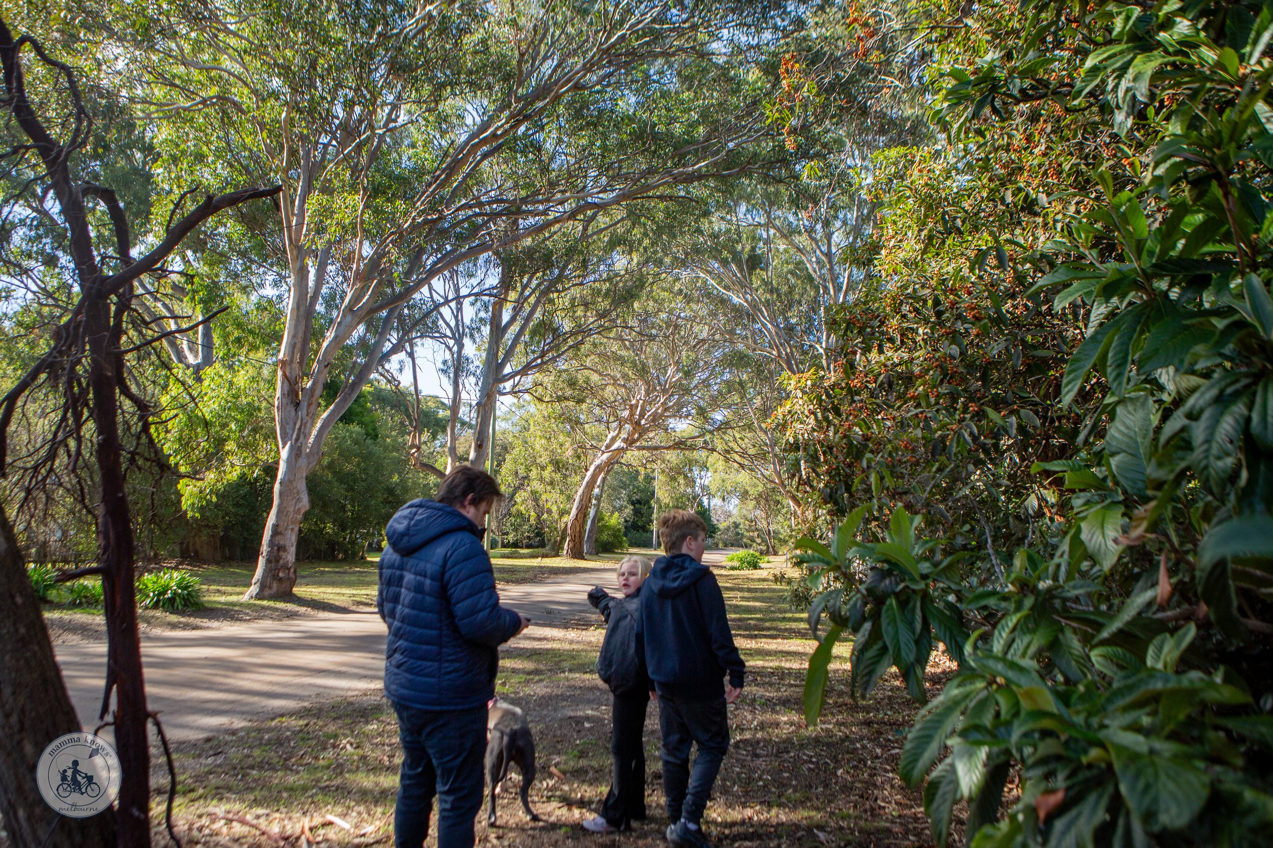Raymond Island, Gippsland Lakes — mamma knows south