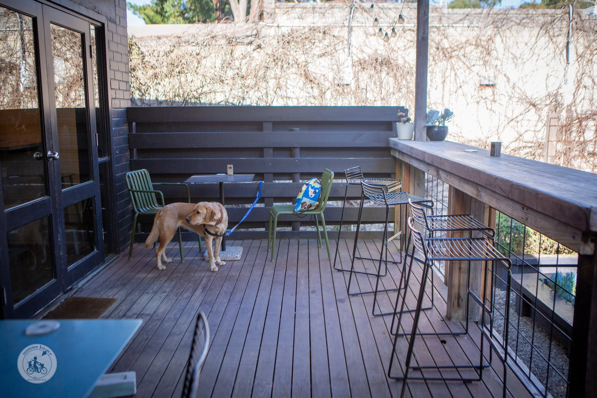 Nordie Cafe, Red Hill — mamma knows south