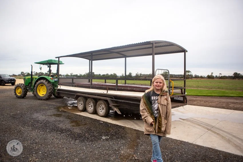 Experience farm life at Caldermeade Farm, Caldermeade — mamma knows south