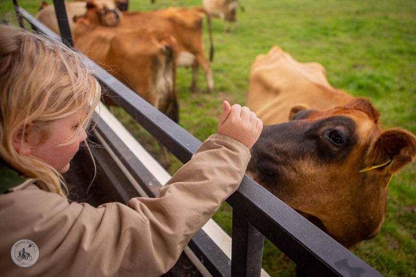 Experience farm life at Caldermeade Farm, Caldermeade — mamma knows south
