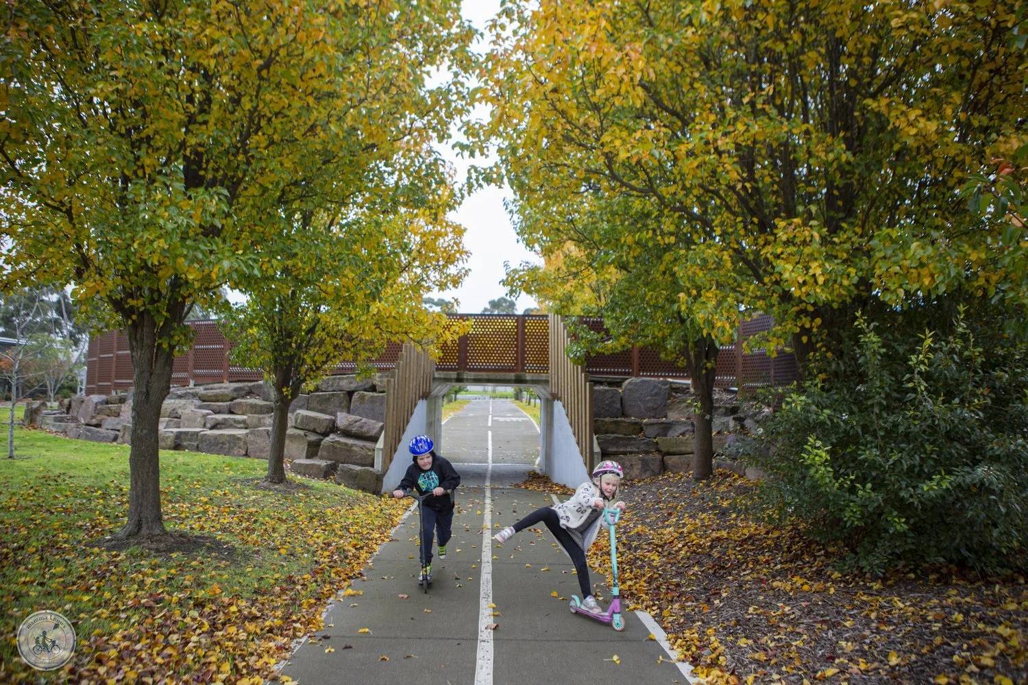 Social Fair, Cranbourne — mamma knows south