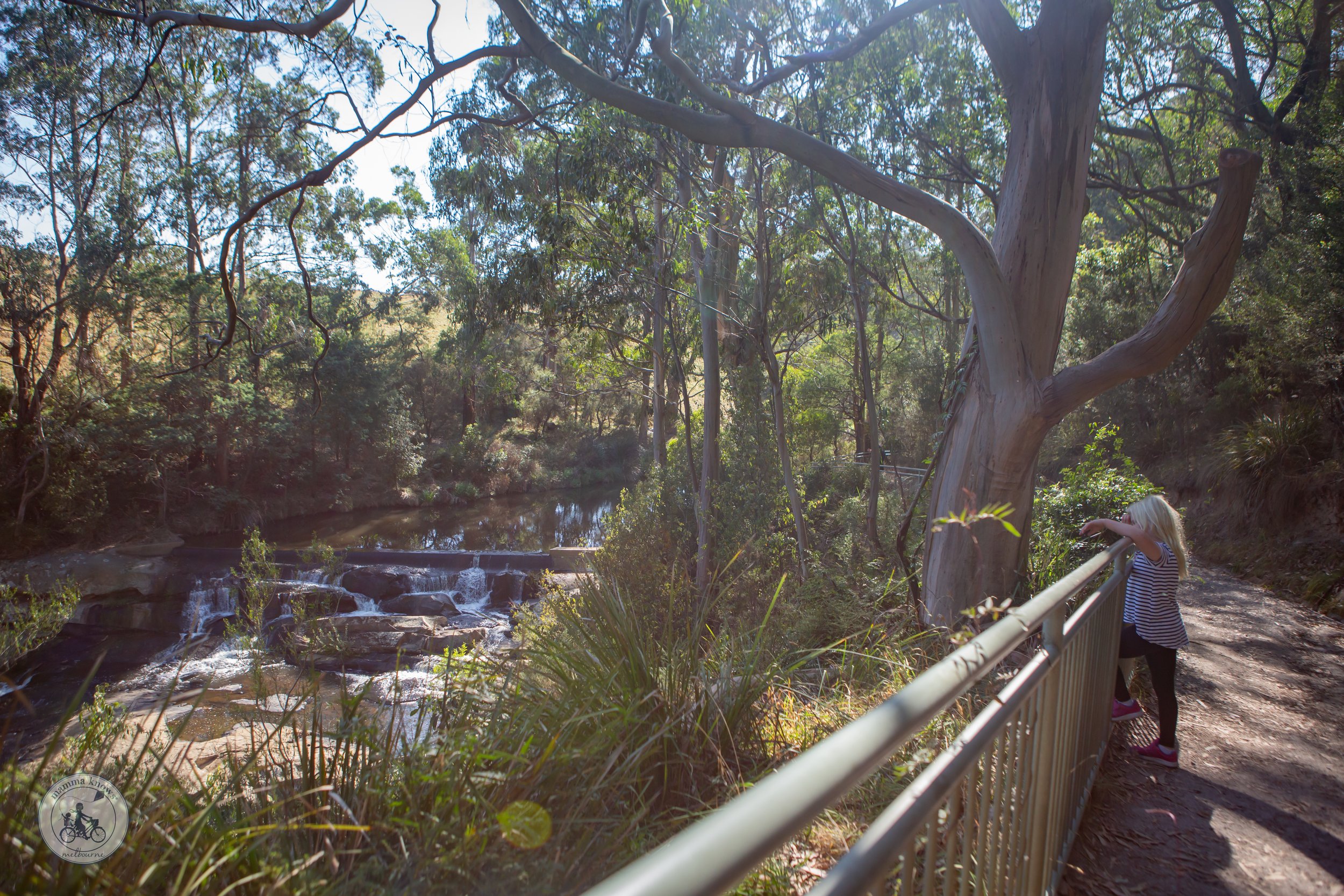 Agnes Falls, Hazel Park — mamma knows south