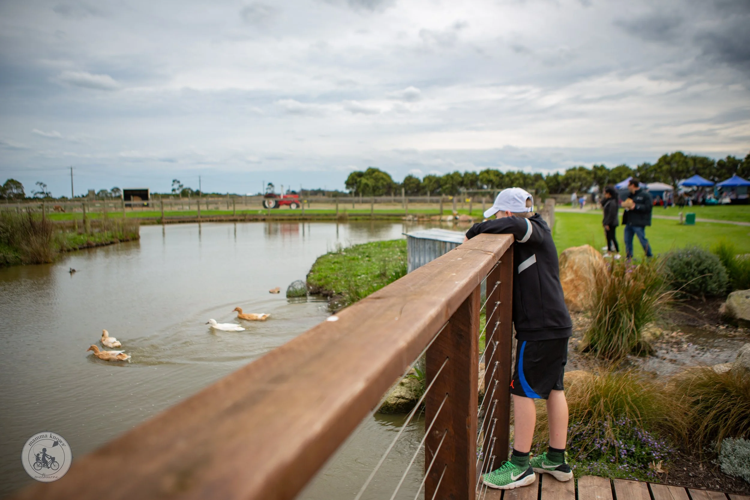 Experience farm life at Caldermeade Farm, Caldermeade — mamma knows south