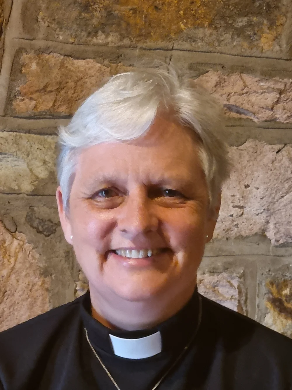 Academic Staff — Saint Francis College