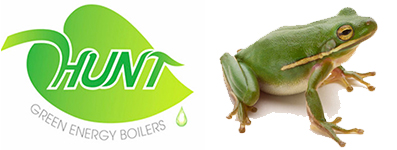 Fulton VANTAGE Condensing Boiler — PWS Hunt Boilers