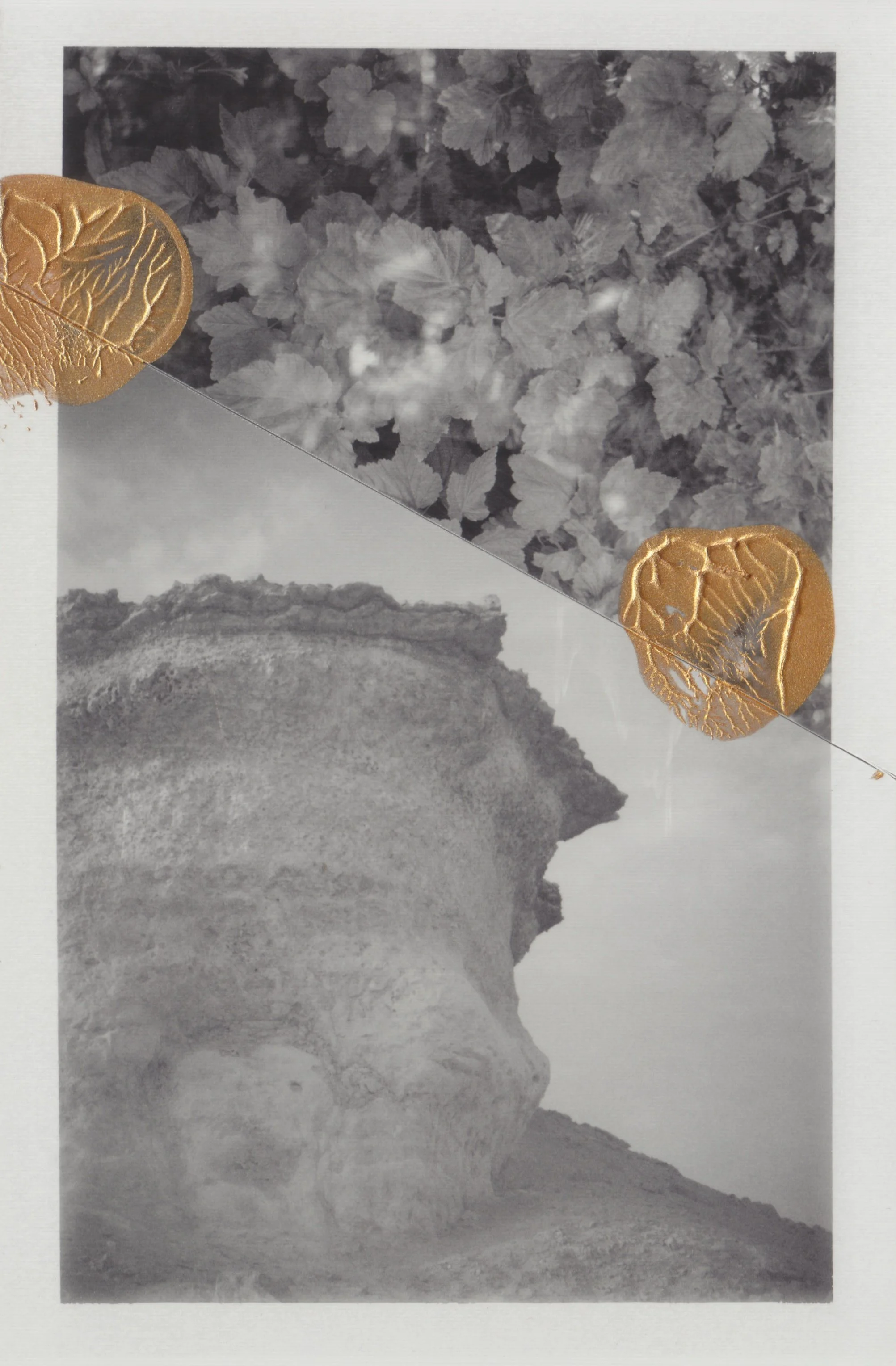 Golden Repair (2023–) — Cyrus Mahboubian
