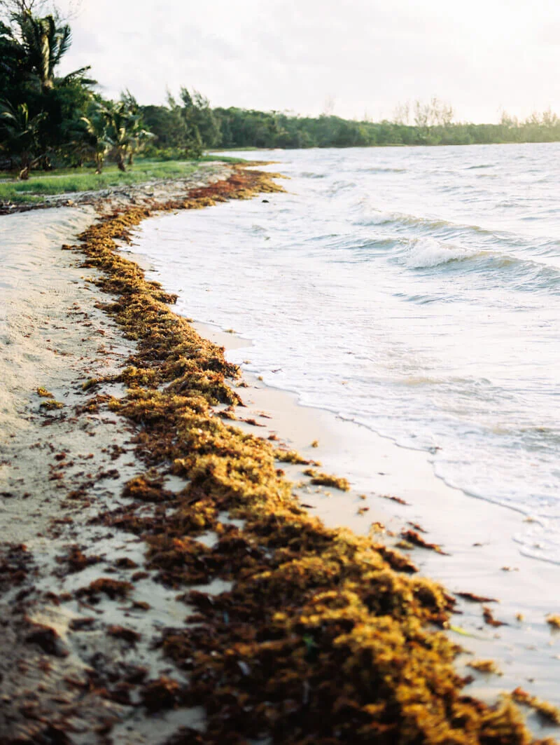 Belize Travel Photography - Placencia — Keepsake Memories Photography ...