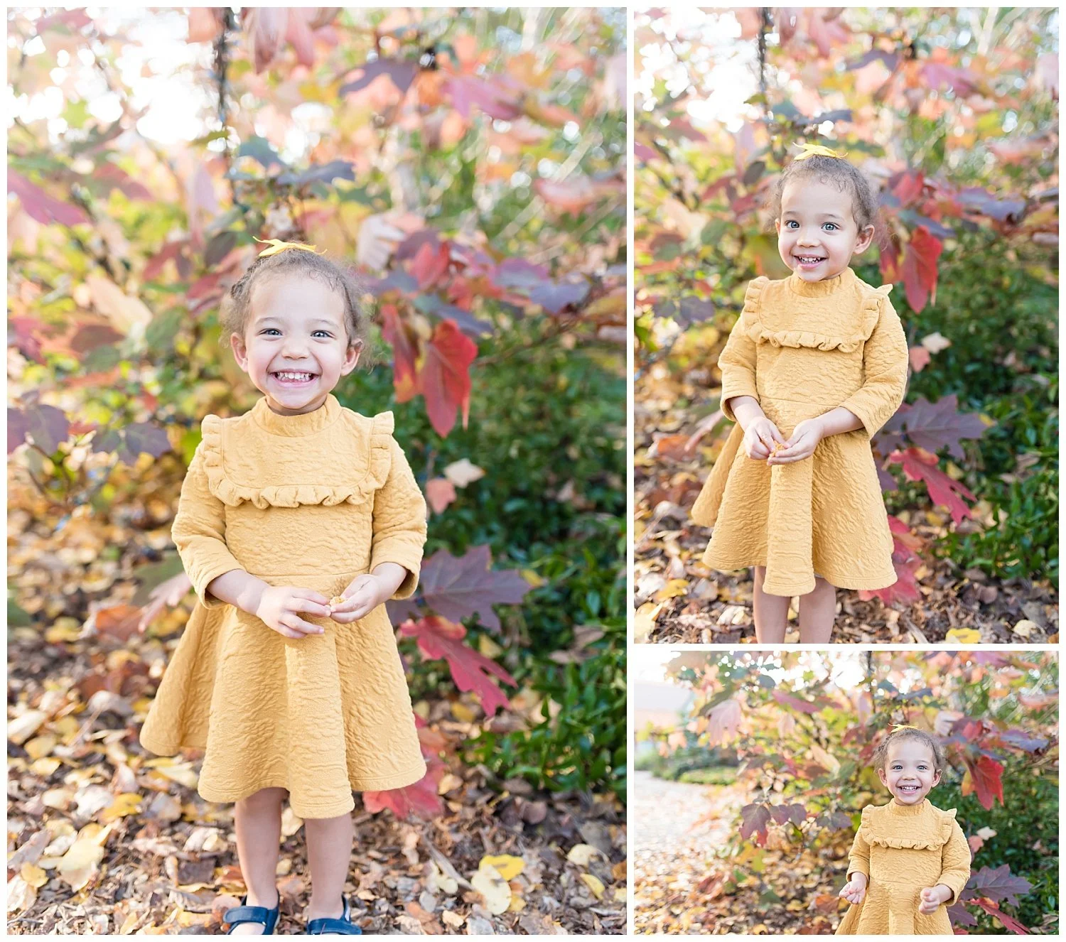 Fall Family Session at Brookside Gardens in Wheaton Maryland — Tabitha Maegan Photography