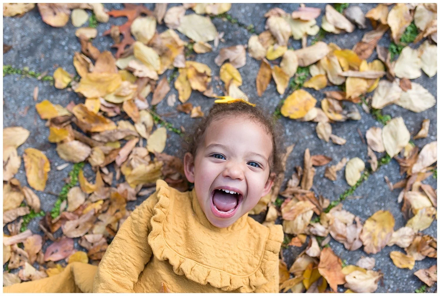 Fall Family Session at Brookside Gardens in Wheaton Maryland — Tabitha Maegan Photography