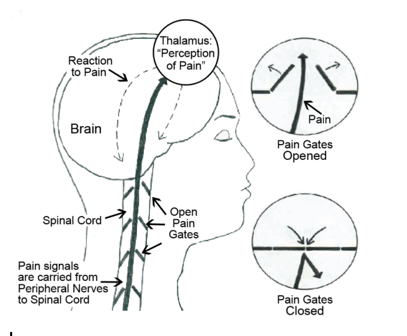 CHRONIC PAIN: New Ways to Cope Using Mind-Body Skills — BioMatrix ...