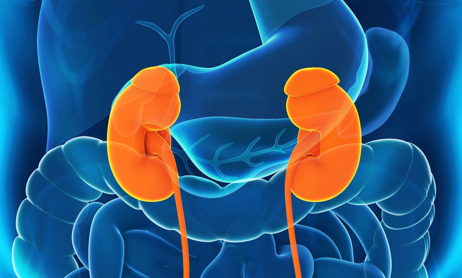Diabetes Chronic Kidney Disease CKD And Kidney Transplants Diabetes Chronic Kidney Disease CKD And Kidney Transplants