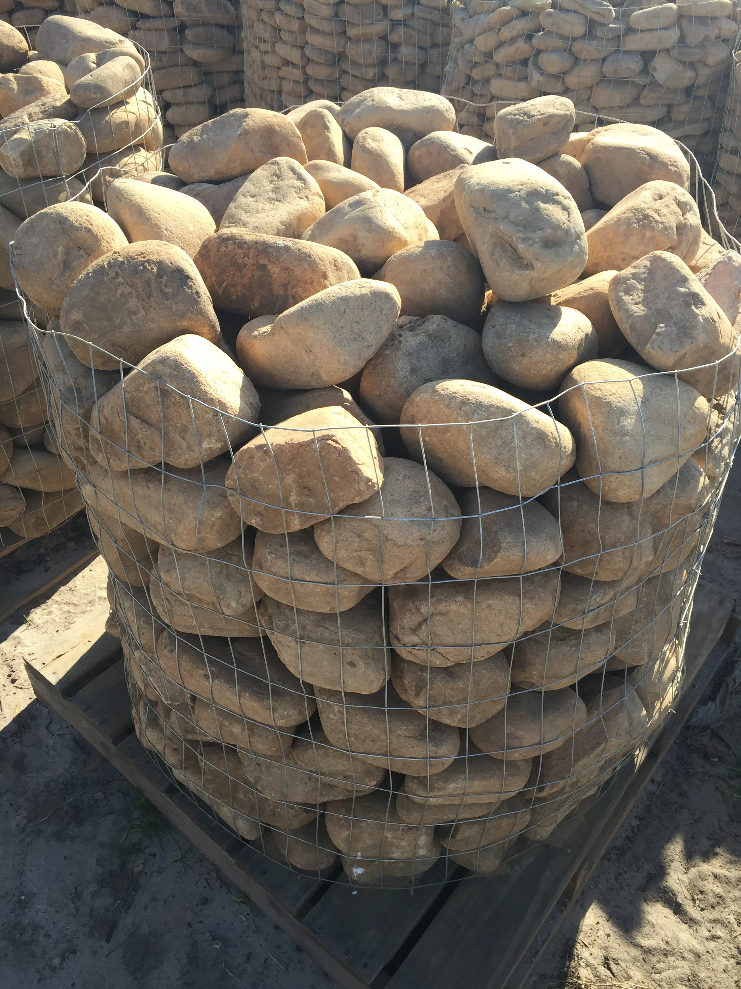 The Green House Nursery