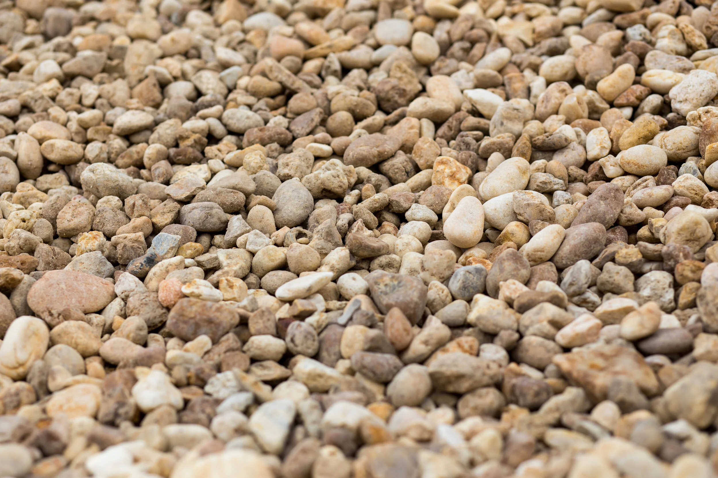 The Green House Nursery