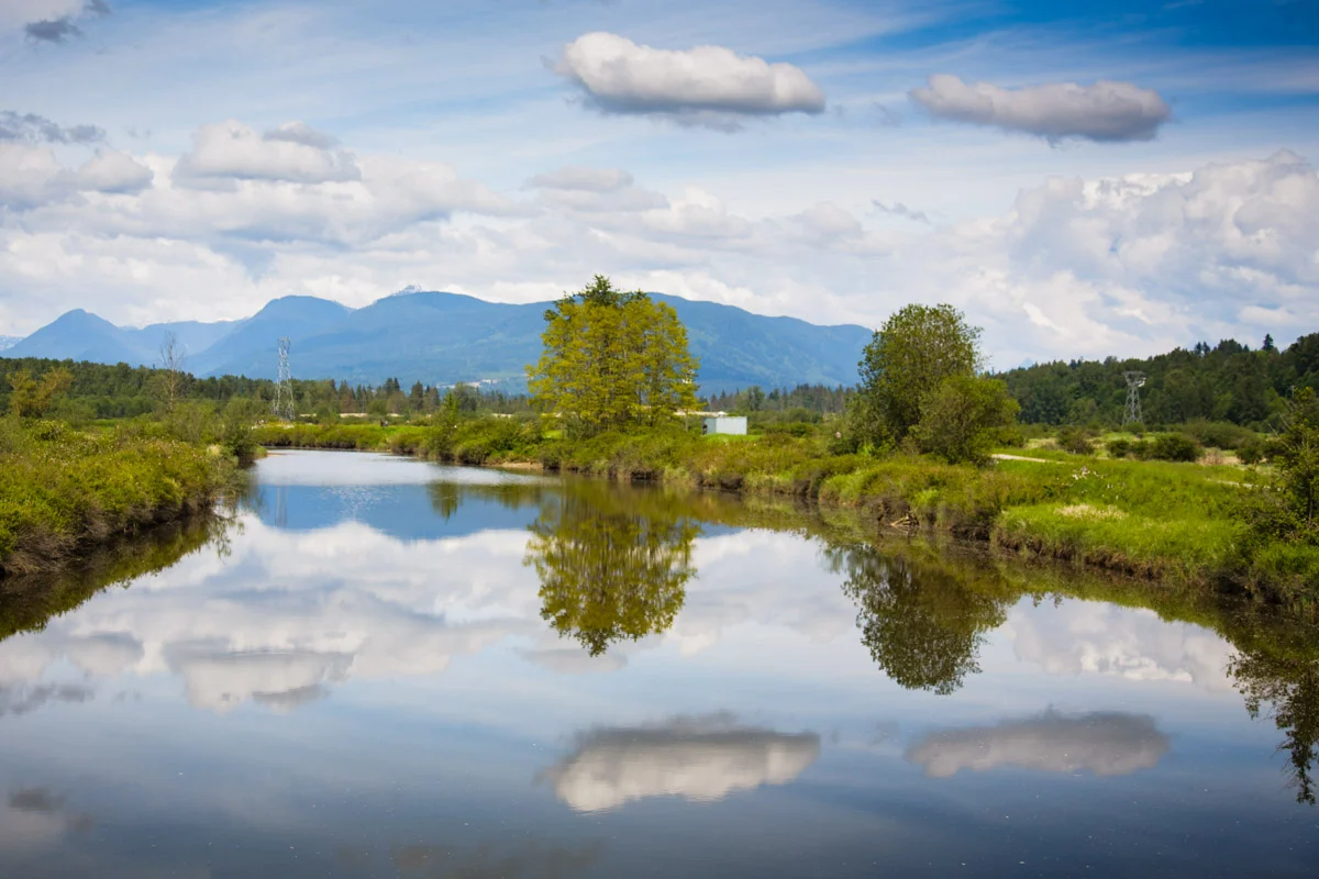 Landscape — John Brandrick