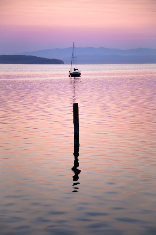 Landscape — John Brandrick